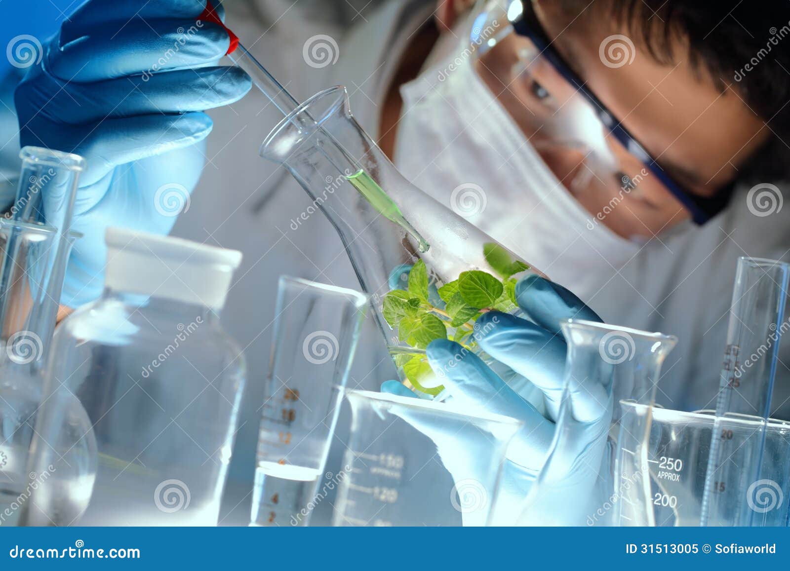 Scientist Examining Samples with Plants Stock Image - Image of nature ...