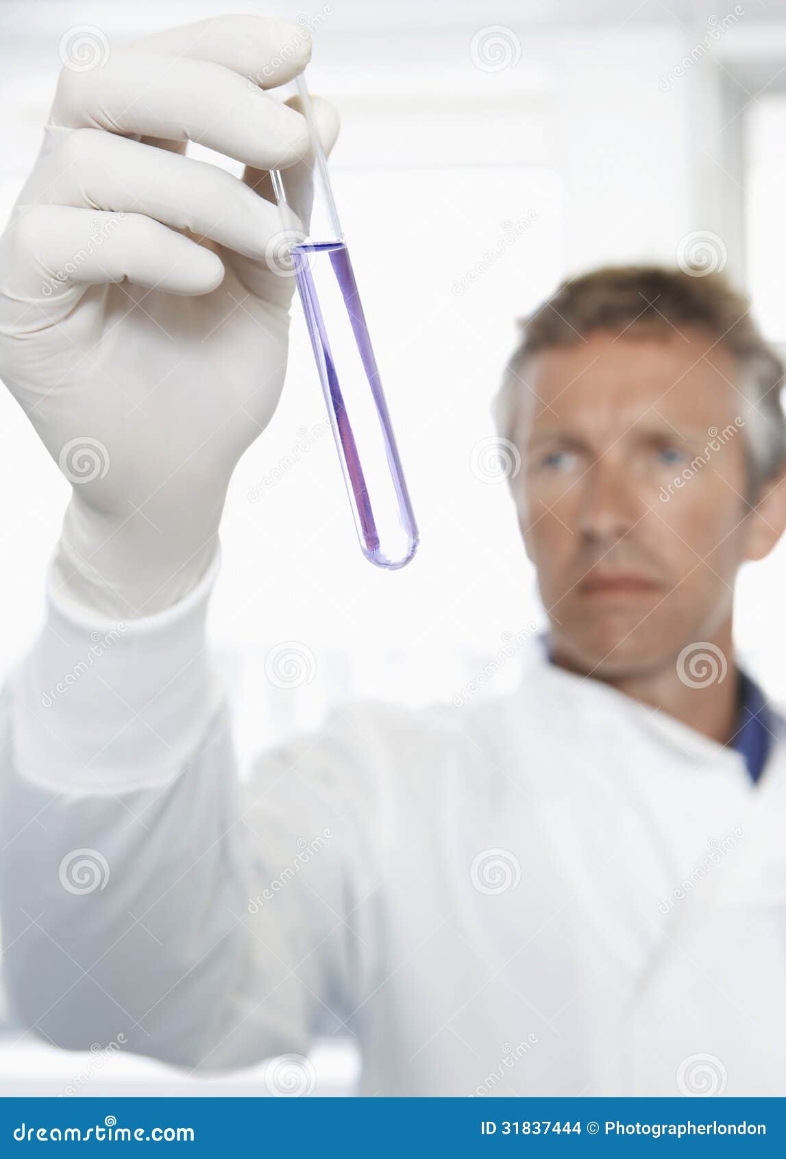 Scientist Examining Solution in Test Tube Stock Photo - Image of ...