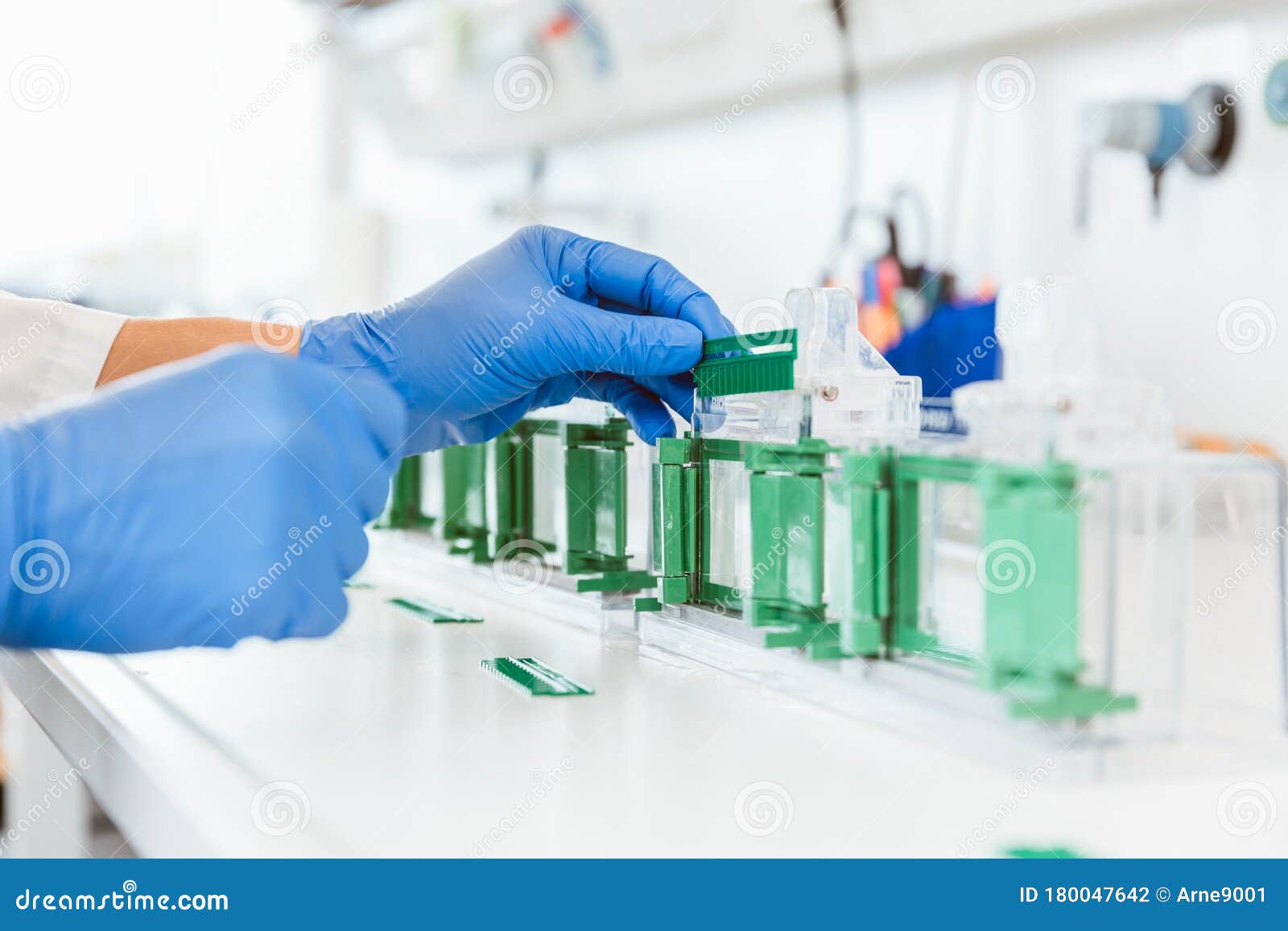 Scientist Experimenting in Laboratory Stock Photo - Image of disease ...