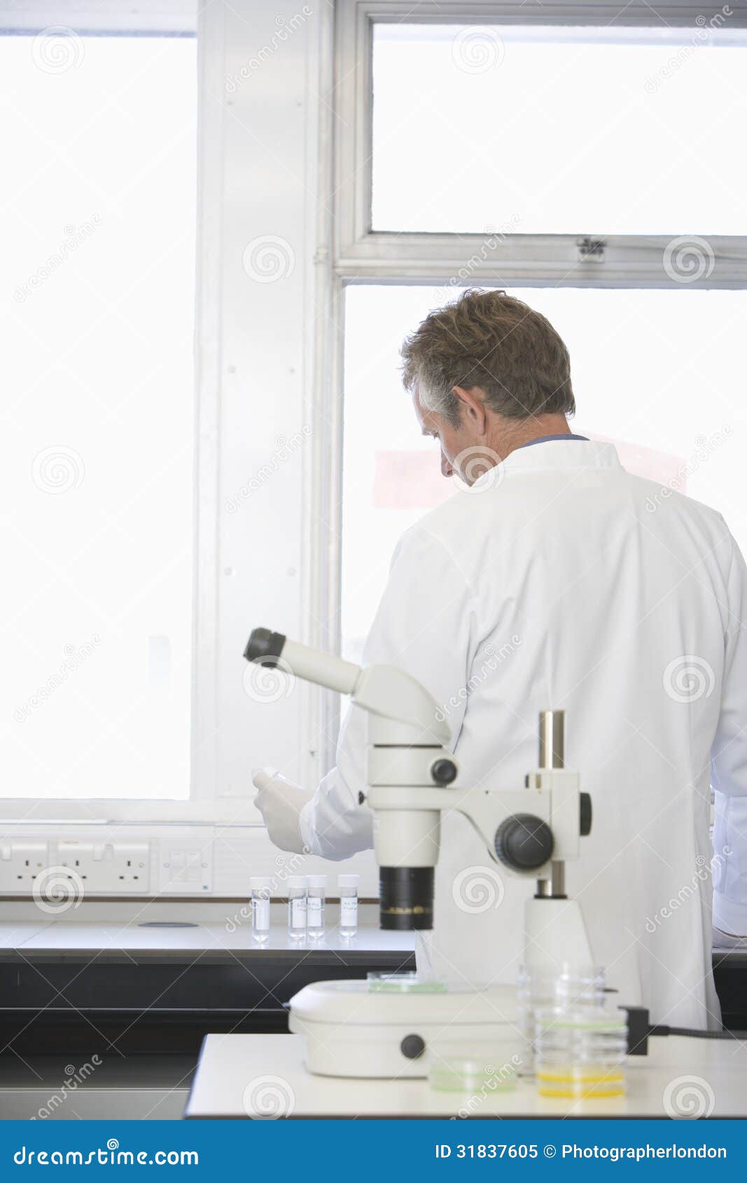 Scientist Experimenting in Laboratory Stock Image - Image of discovery ...