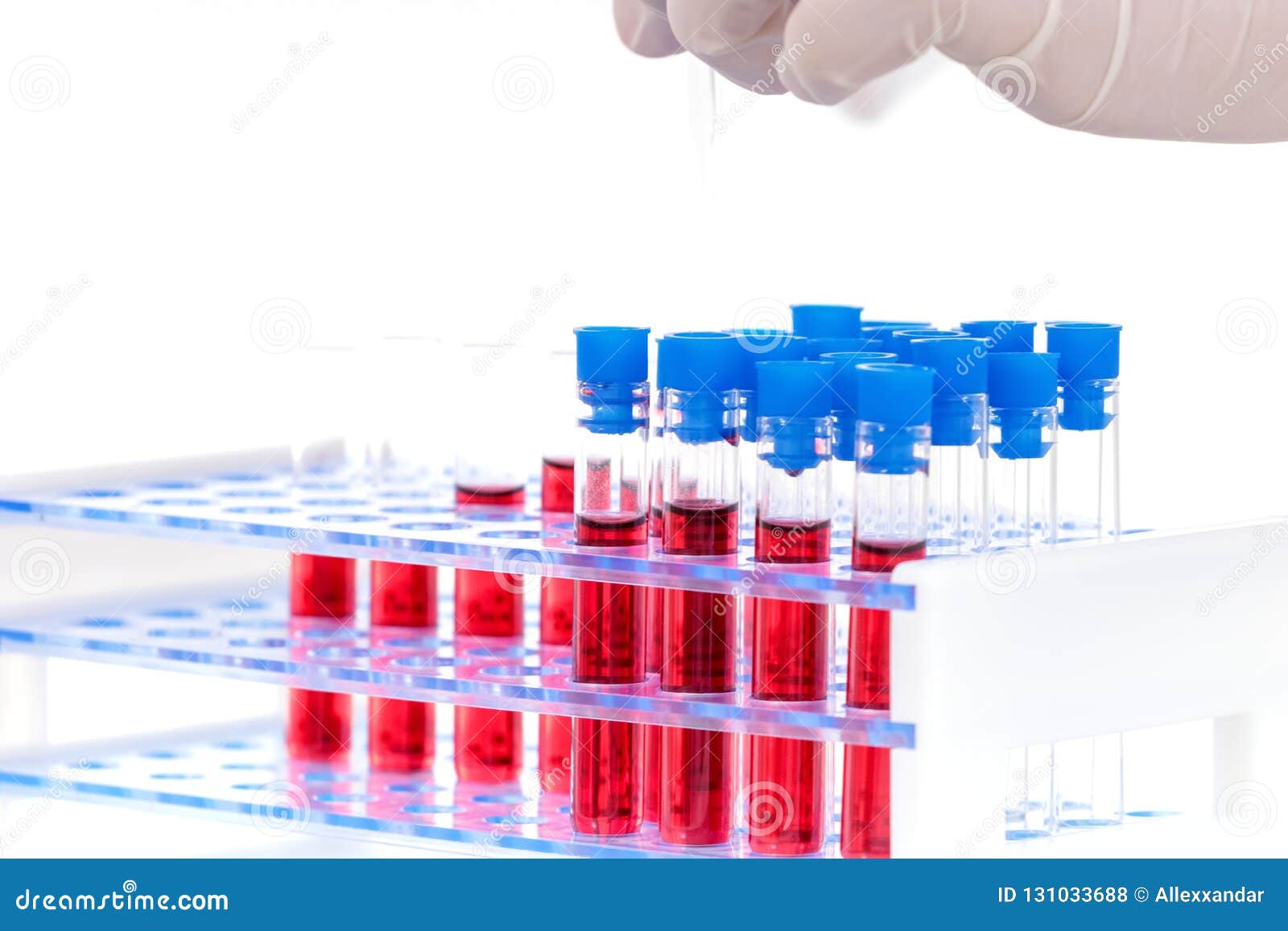 Scientist Filling Test Tubes with Pipette in Laboratory Stock Photo ...