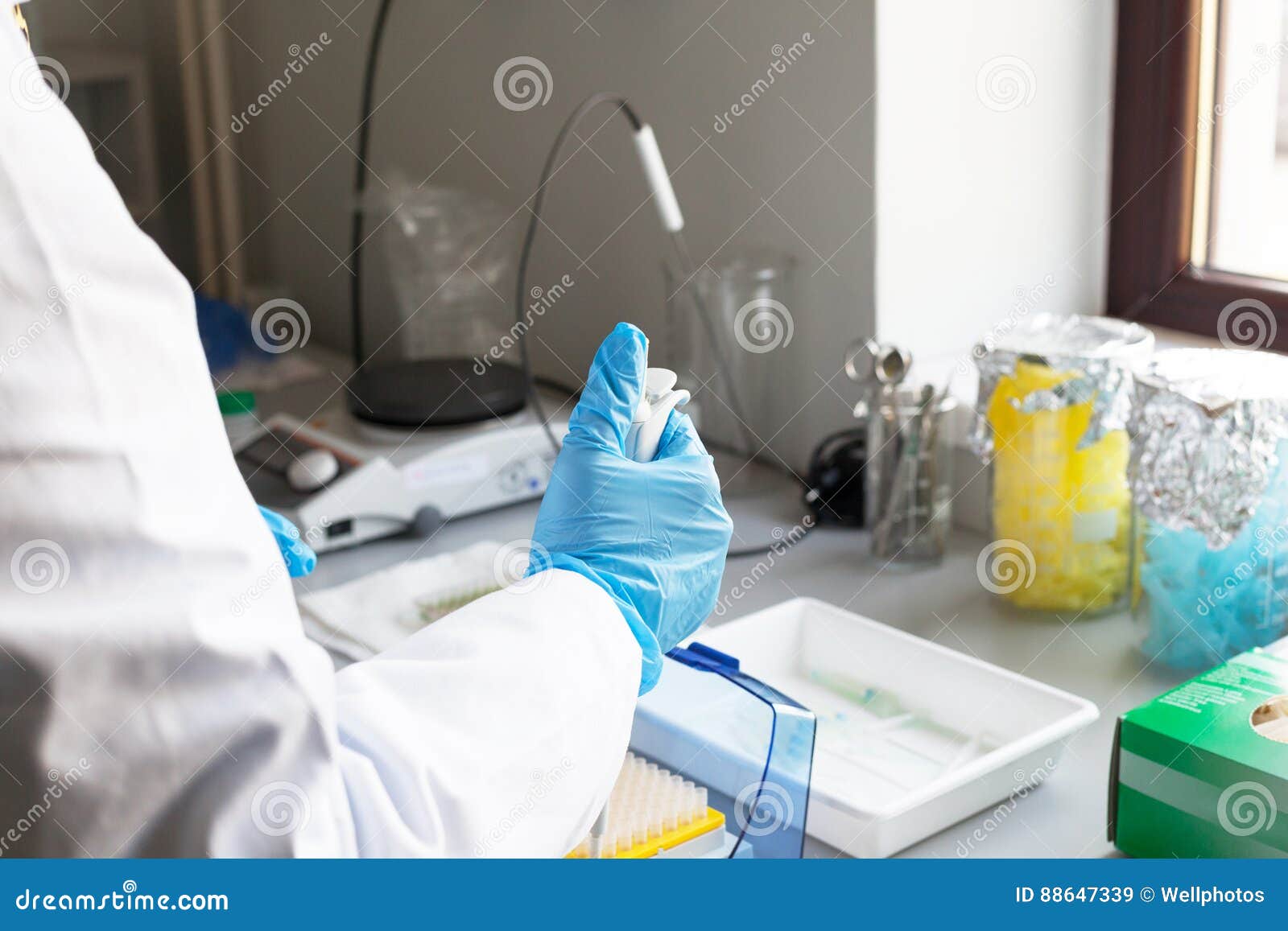 Scientist Filling Test Tubes with Pipette in Laboratory Stock Image ...