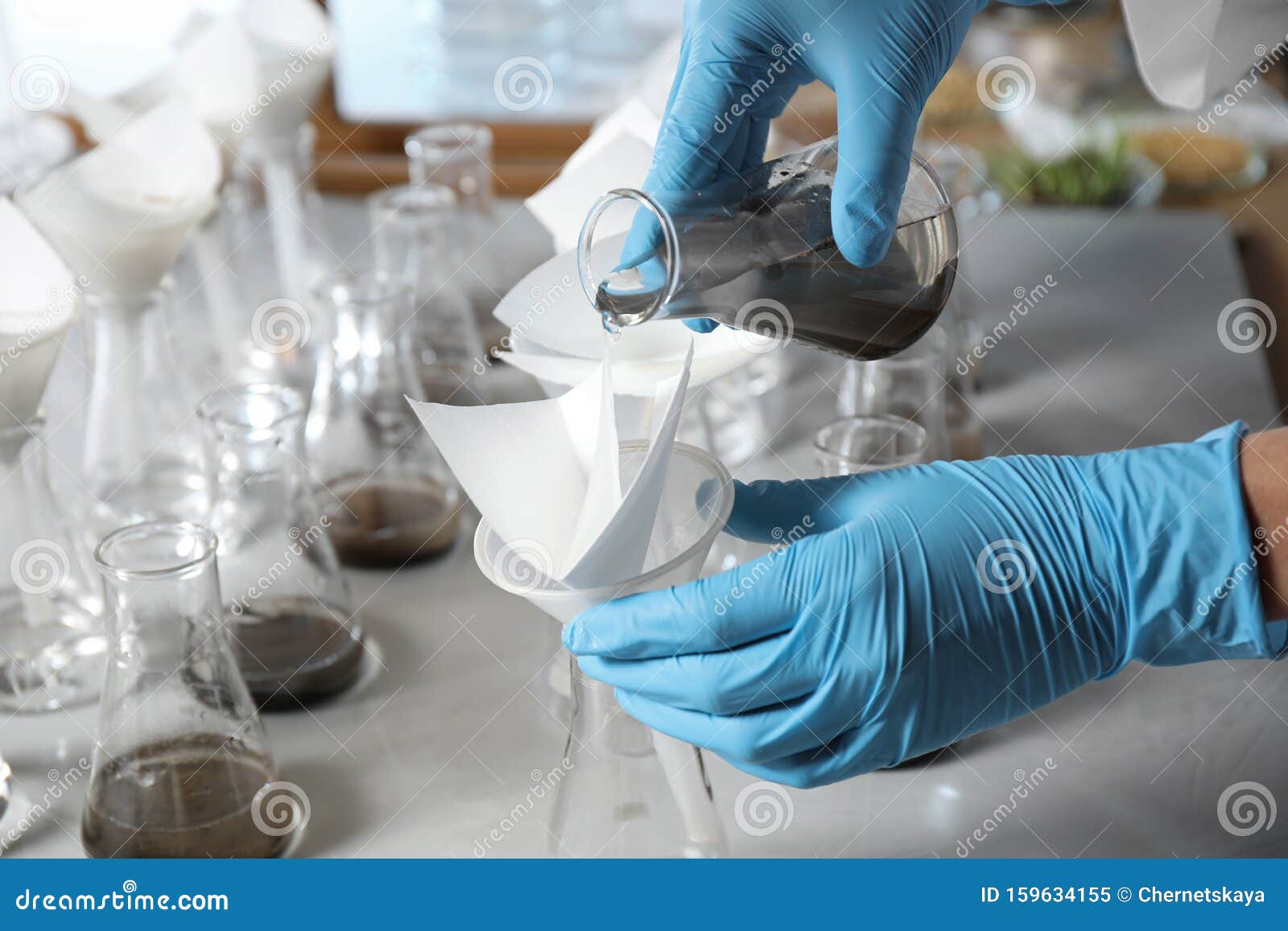 Scientist Filtering Soil Samples at Table. Laboratory Analysis Stock ...