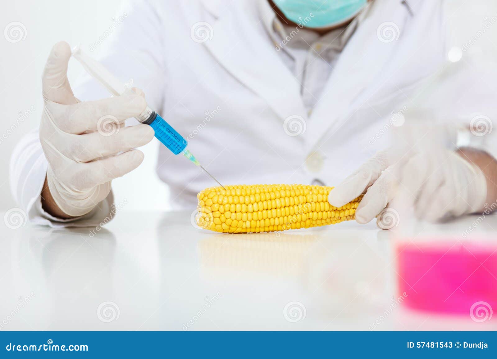 Scientist Genetically Modifying Fruits and Vegetables in the Laboratory ...