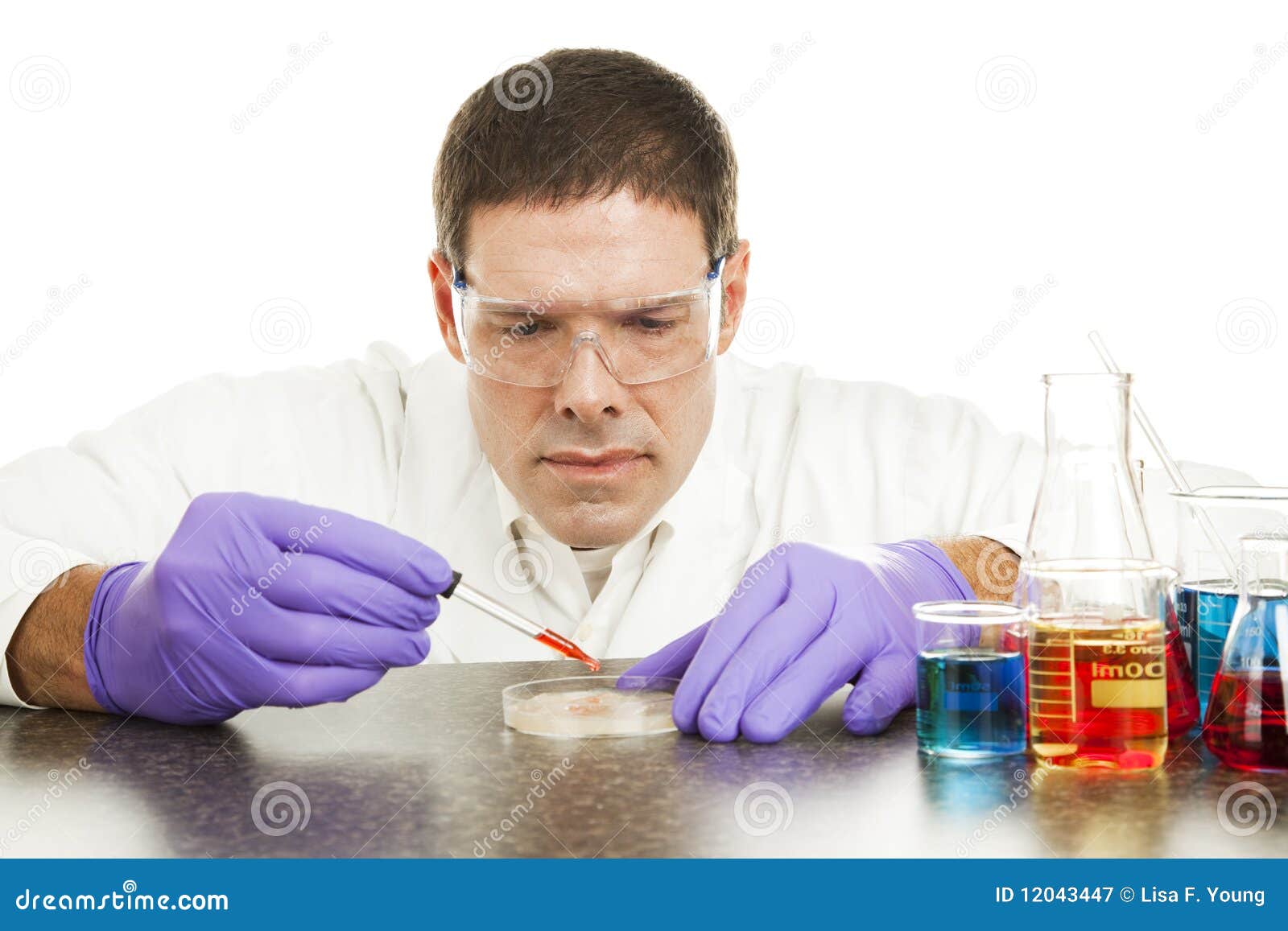 Scientist Growing Culture stock image. Image of blood - 12043447