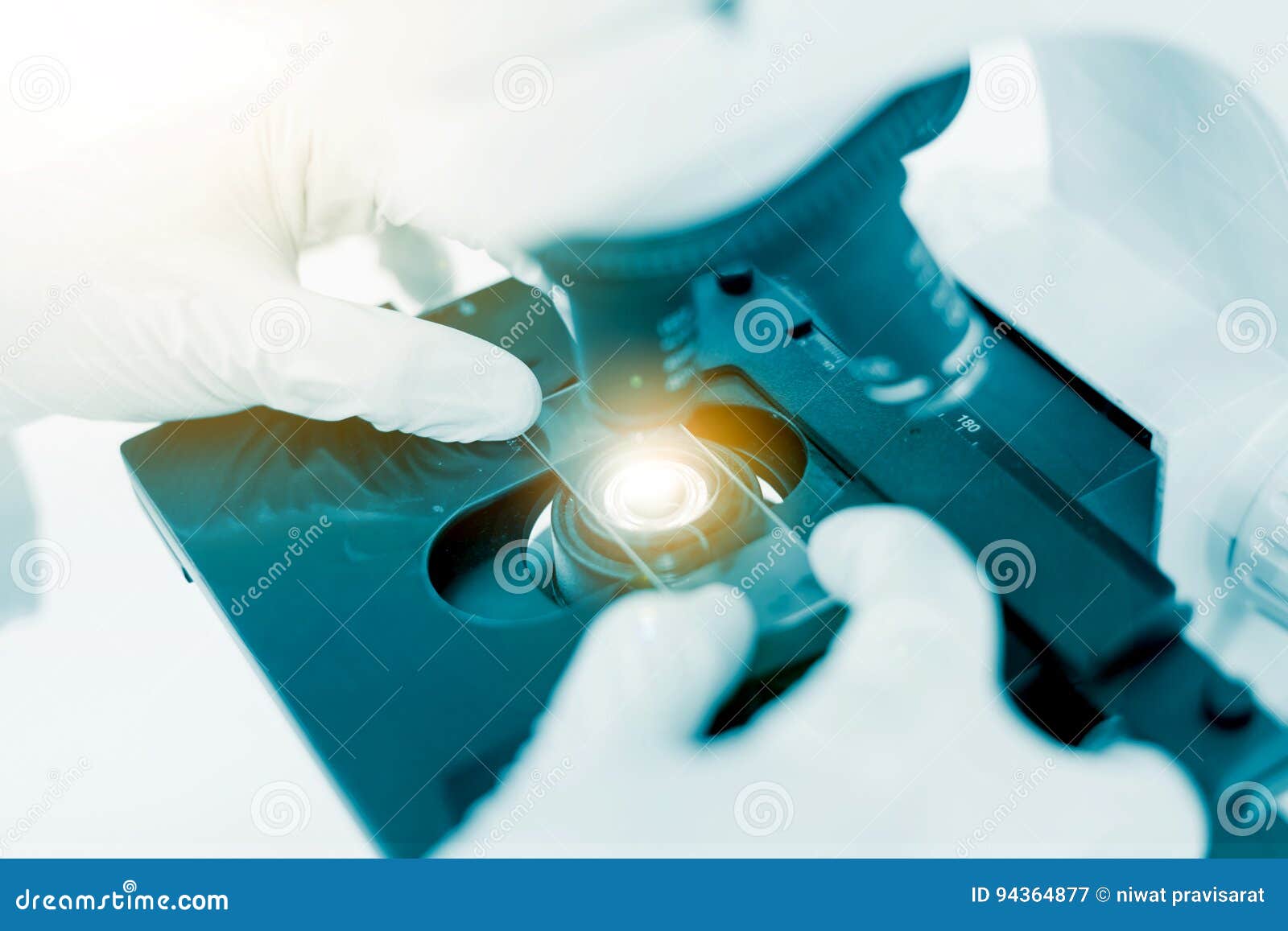 Scientist Hand Holding Laboratory Test Tube, Science Laboratory Stock ...