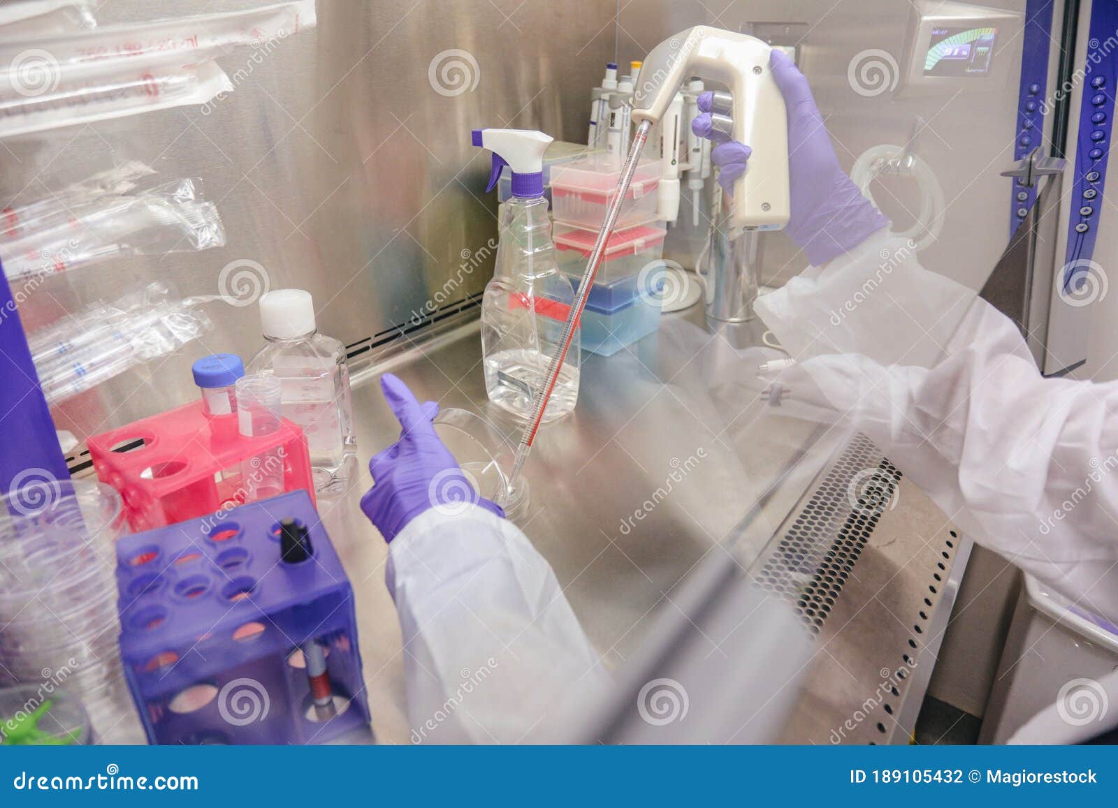 Scientist Hand Making Laboratory Research. Stock Photo - Image of glove ...