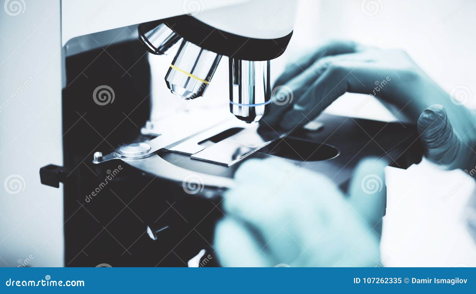 Scientist Hand S in a Lab Coat is Getting Ready To Start a Microscope ...