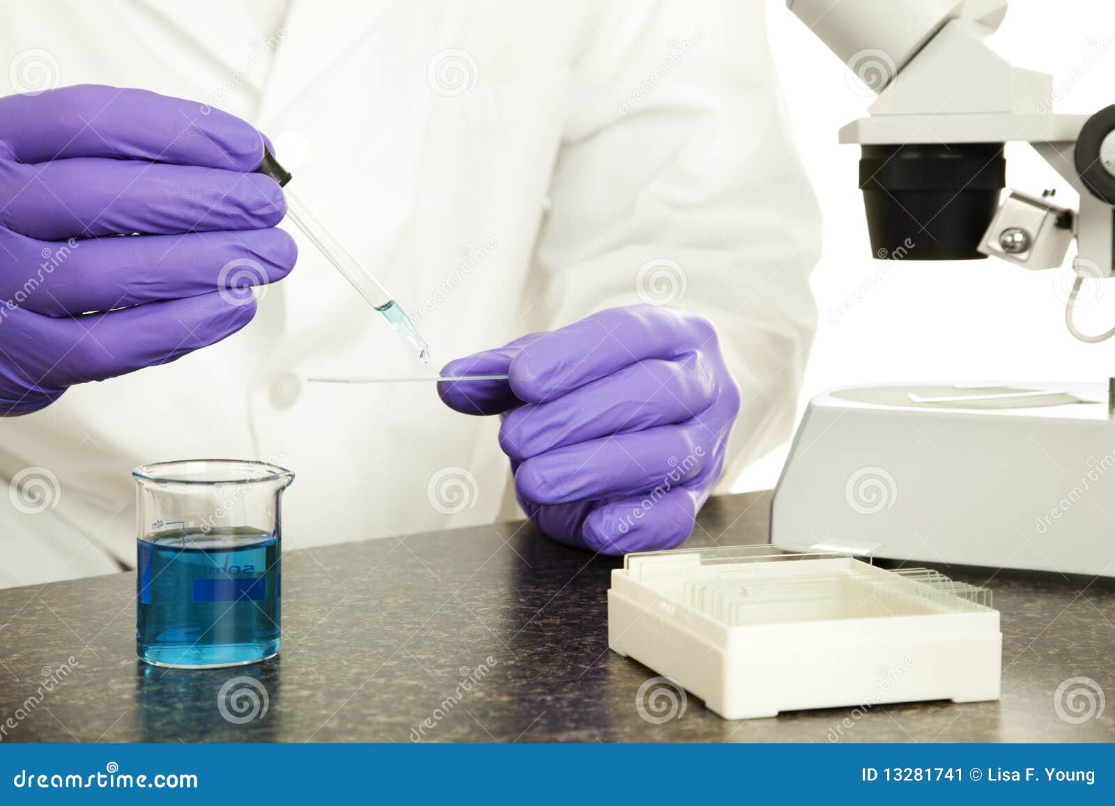 Scientist Hands Closeup stock image. Image of occupation - 13281741