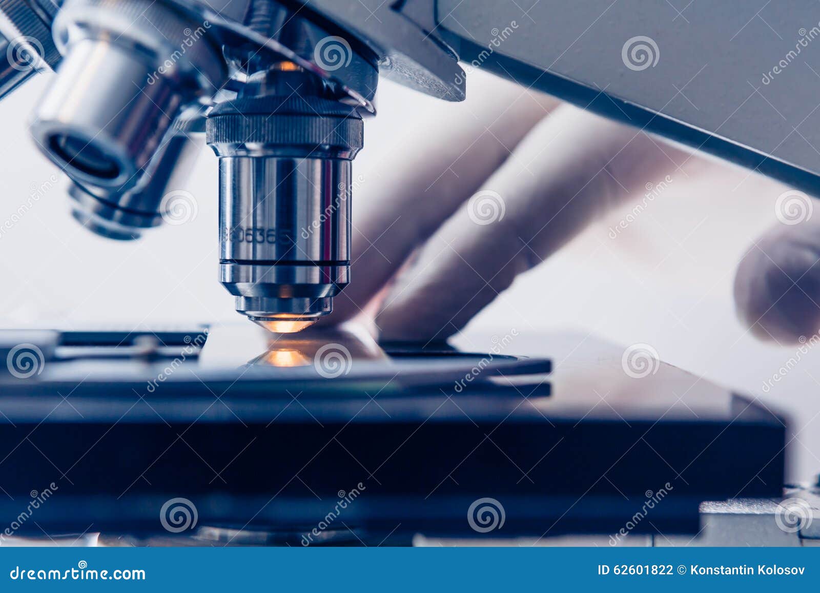 Scientist Hands with Microscope Stock Photo - Image of hands, biology ...