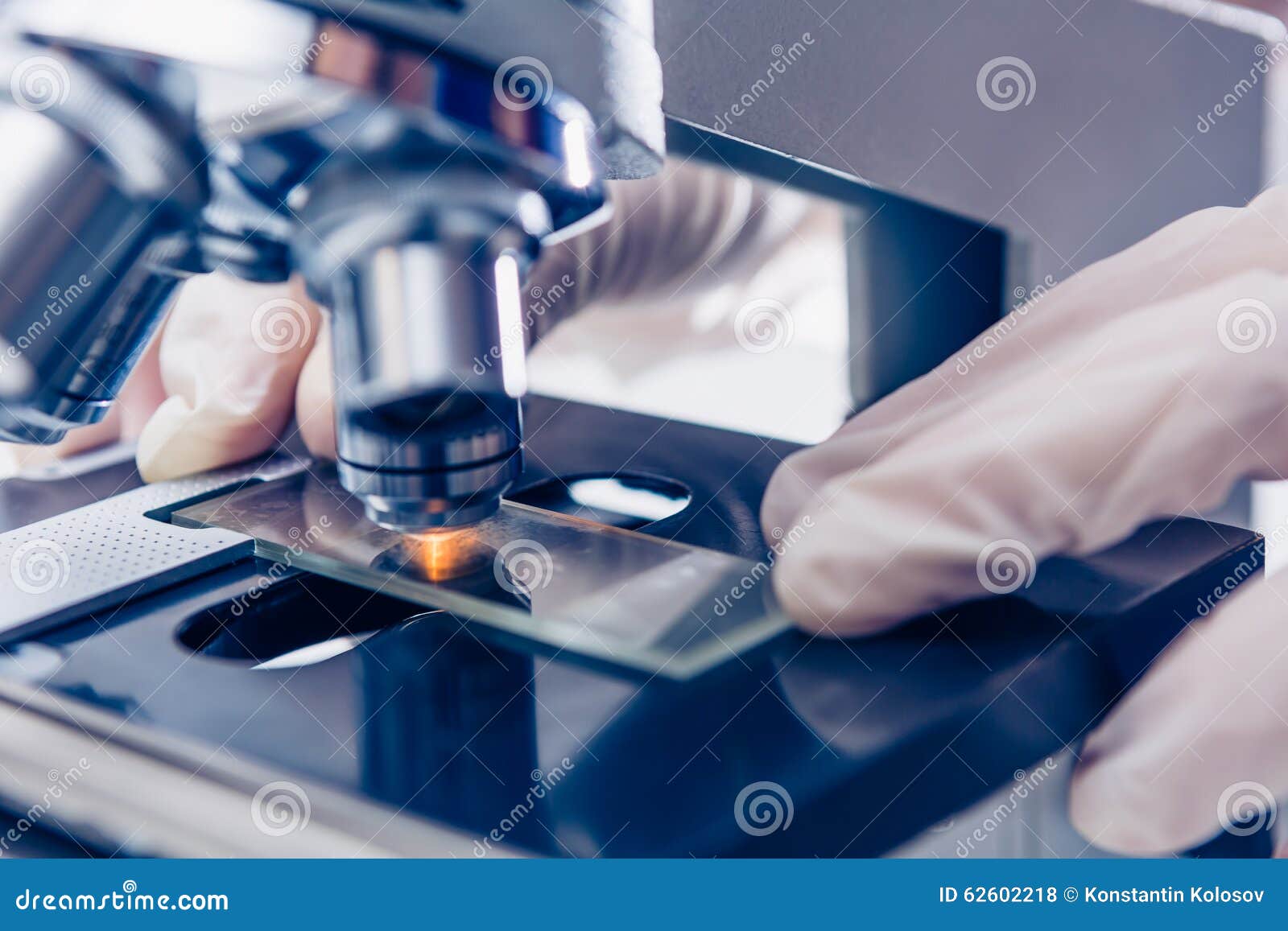 Scientist Hands with Microscope Stock Photo - Image of research ...