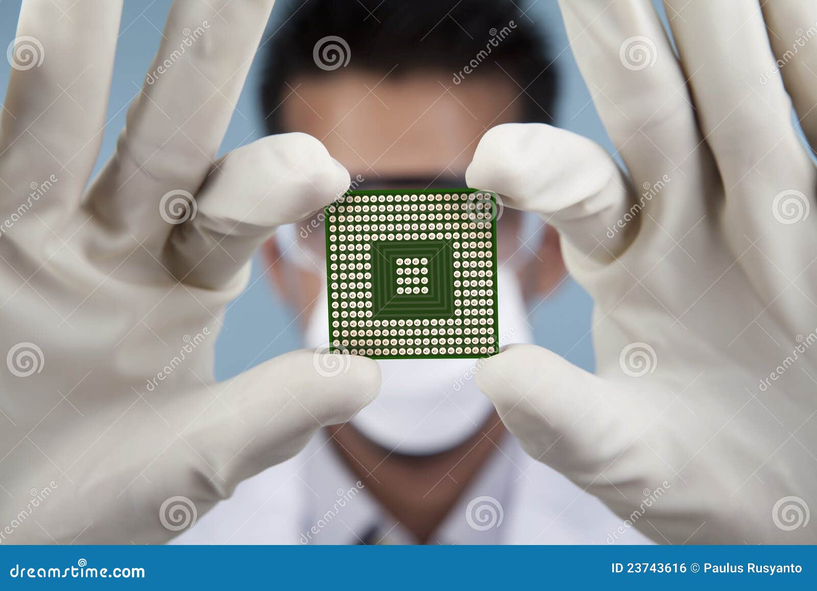 Scientist Holding a Computer Microchip Stock Photo - Image of ...