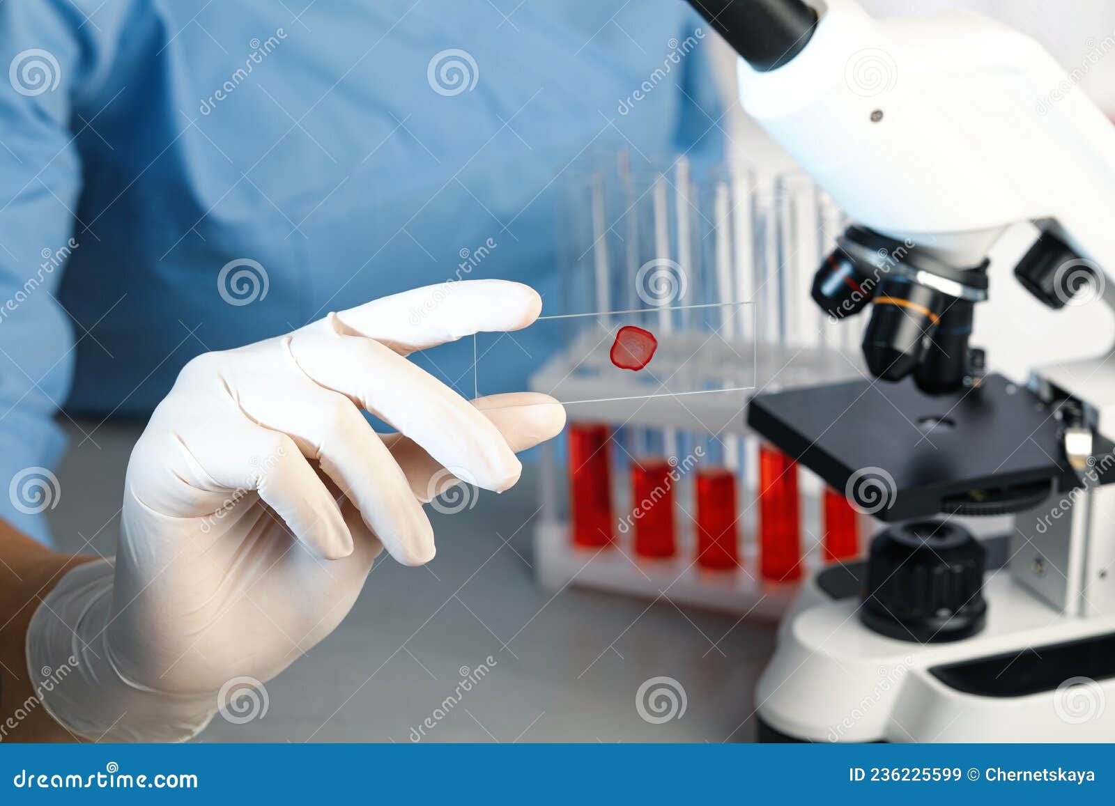 Scientist Holding Microscope Slide with Red Sample in Laboratory ...