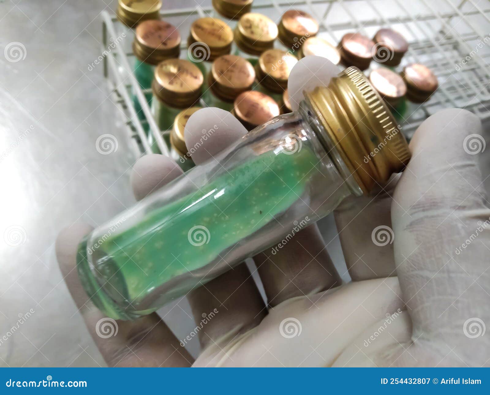 Scientist Holding Solid Lowensteinâ€“Jensen Agar Medium Bottle Stock ...