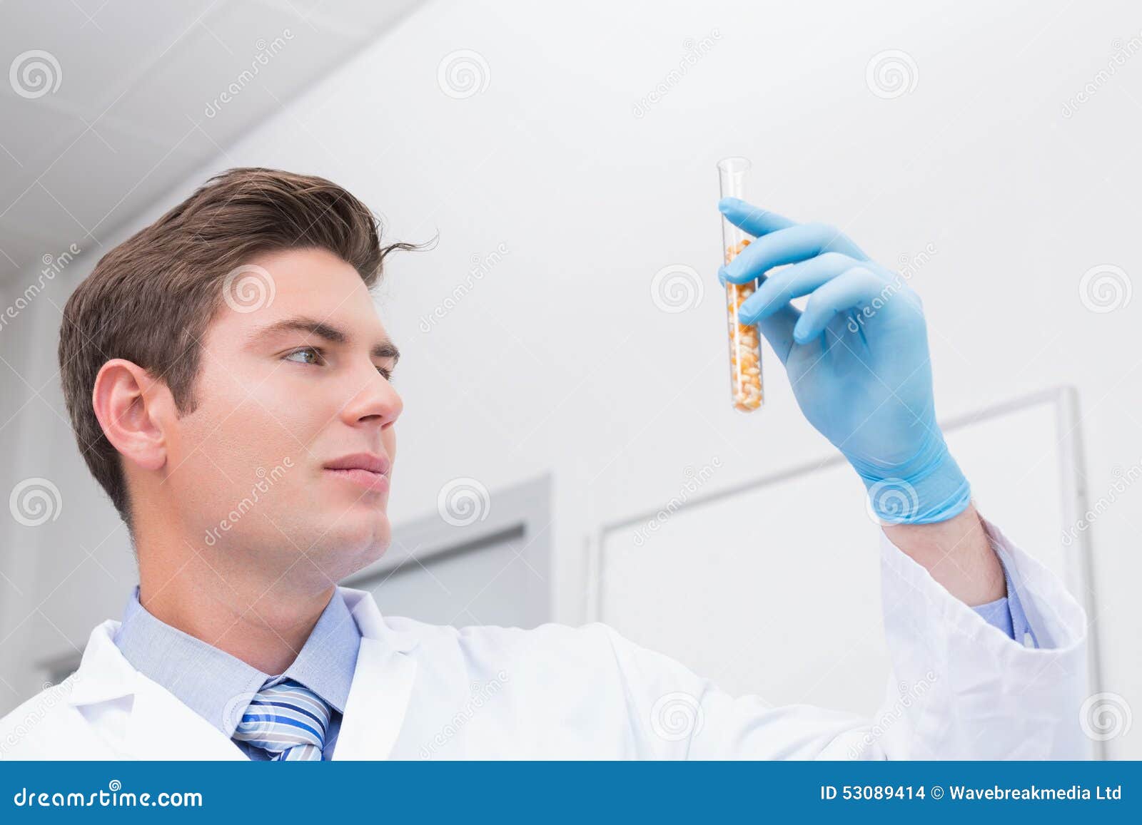 Scientist Holding Test Tube with Corn Inside Stock Photo - Image of ...