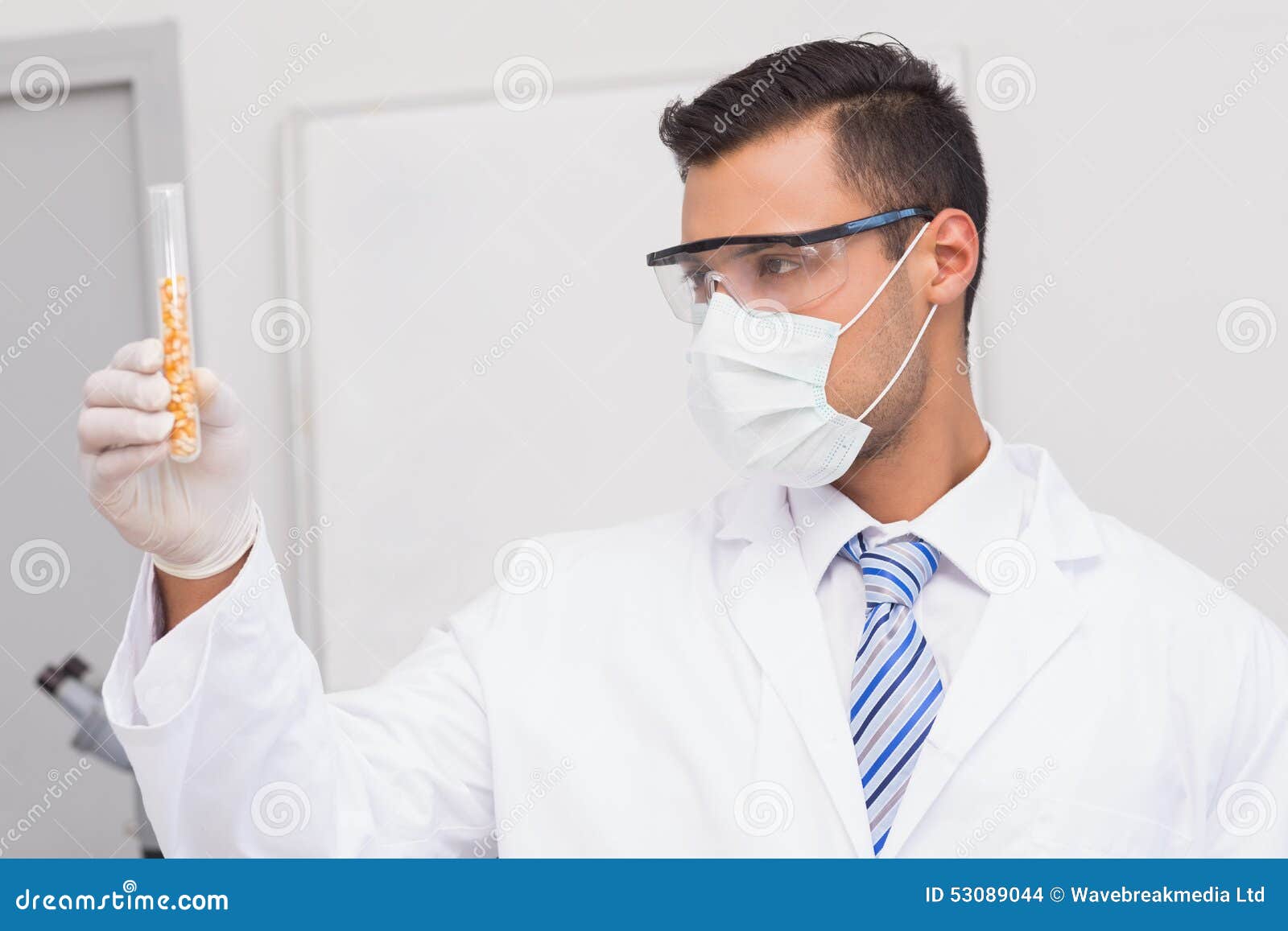 Scientist Holding Test Tube of Corn Stock Photo - Image of protective ...