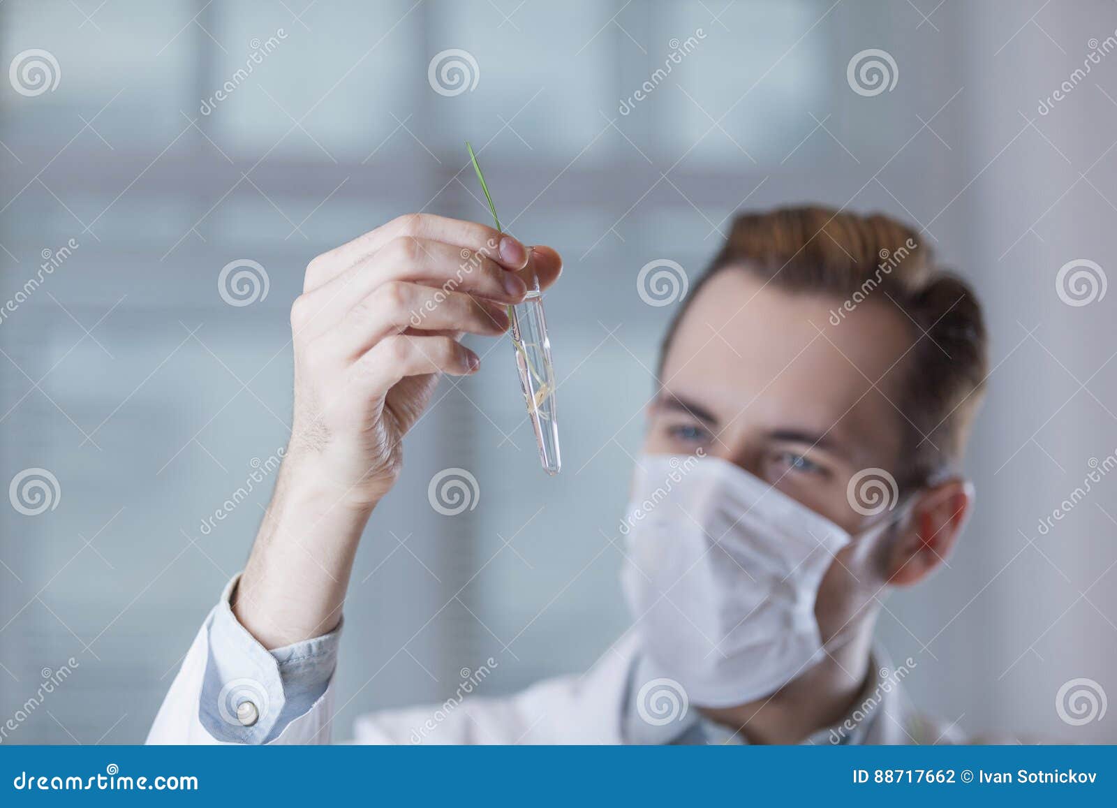 Scientist Holding a Test Tube with Plant Stock Photo - Image of chemist ...