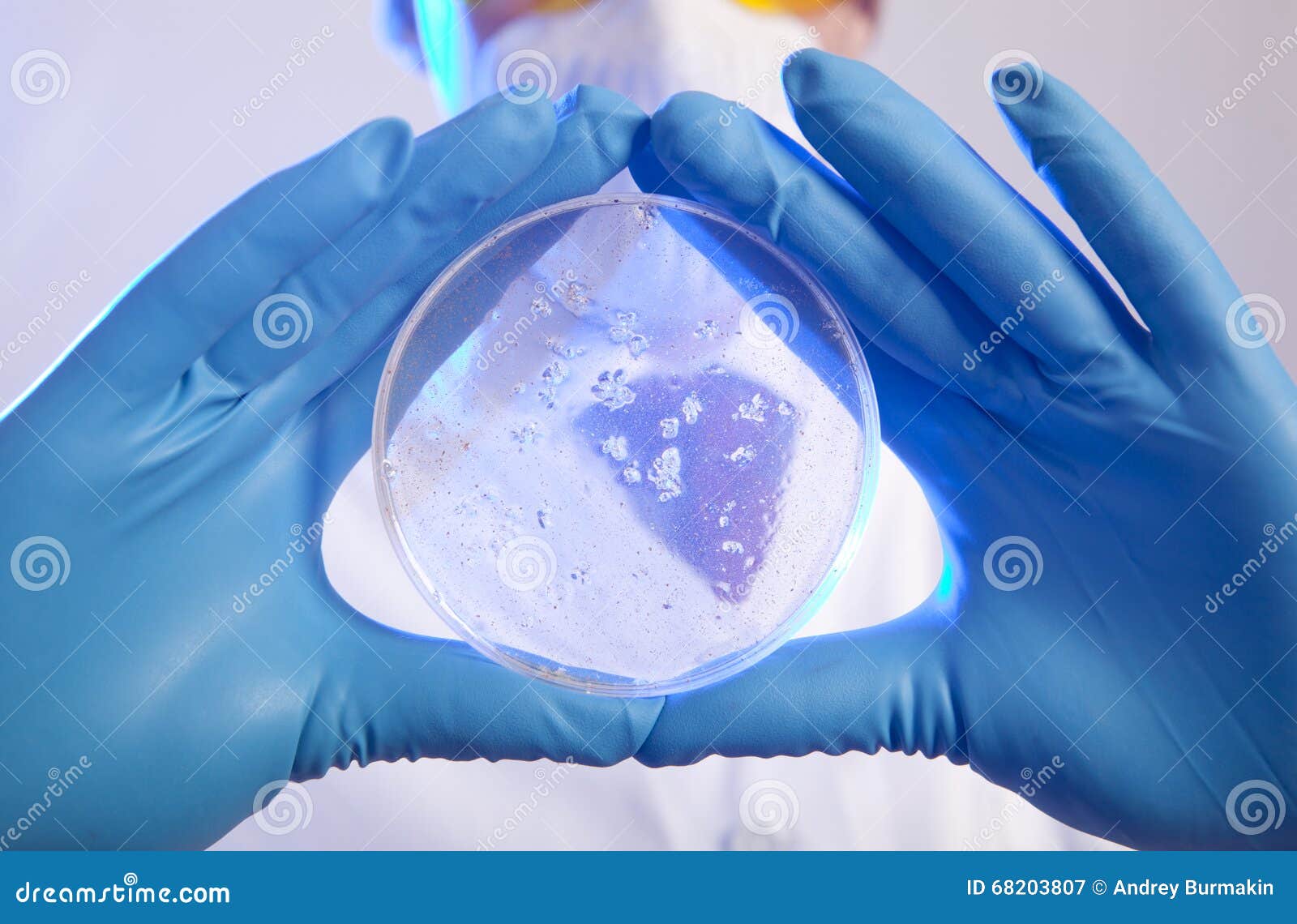 Scientist Holding Virus Cells Stock Image - Image of controlled, hand ...