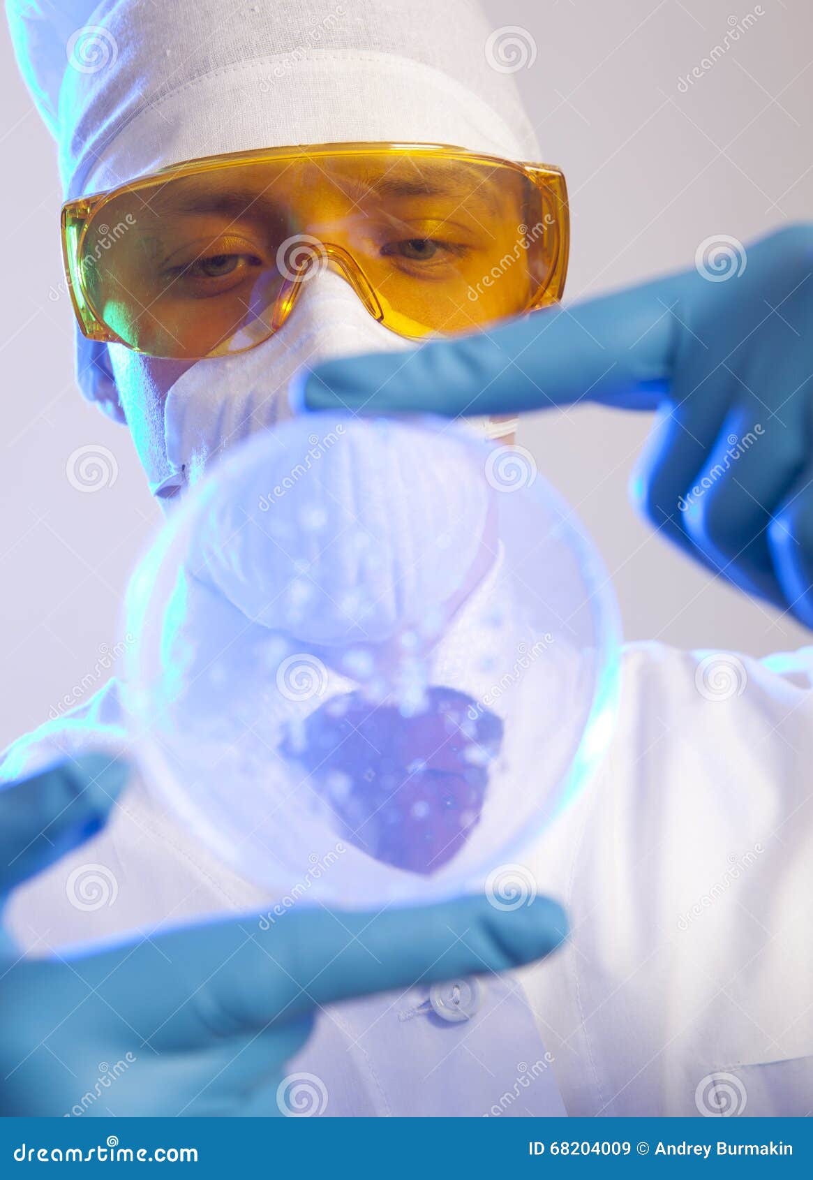 Scientist Holding Virus Cells Stock Image - Image of hygiene, hand ...