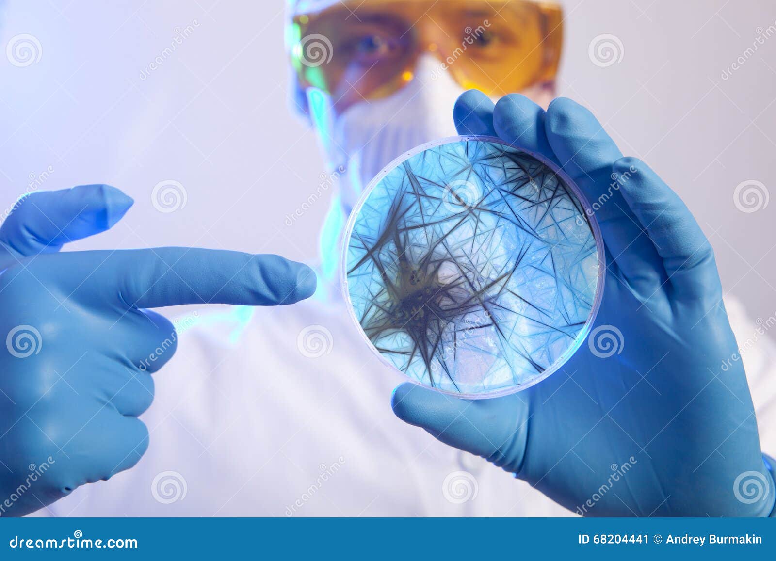 Scientist Holding Virus Cells Stock Image - Image of biochemistry ...