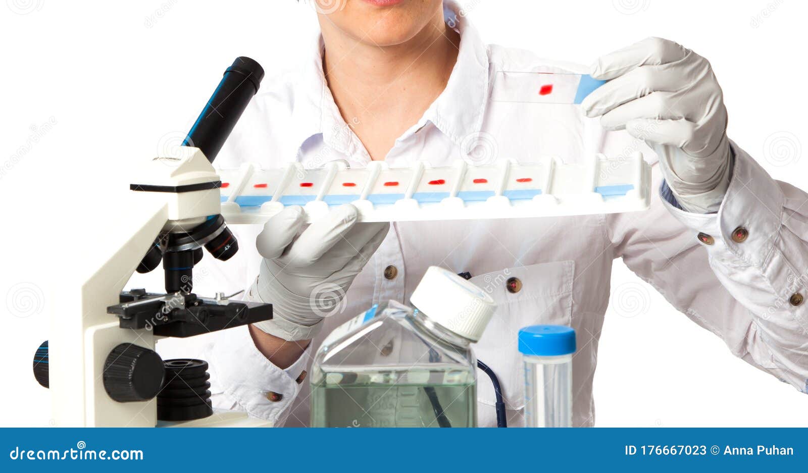Scientist Holds and Examine Samples in a Laboratory Stock Image - Image ...
