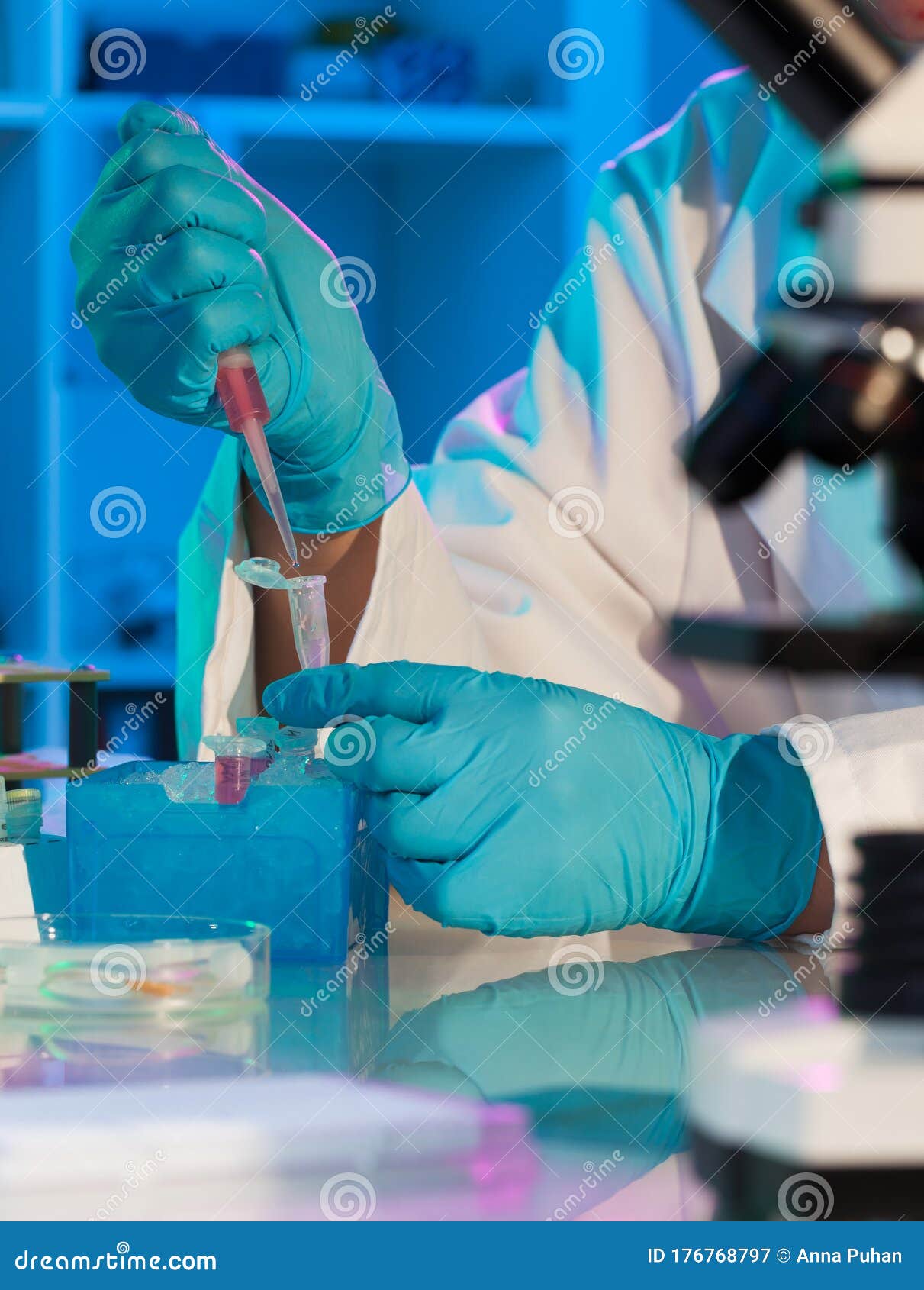 Scientist Holds and Examine Samples in a Laboratory Stock Image - Image ...