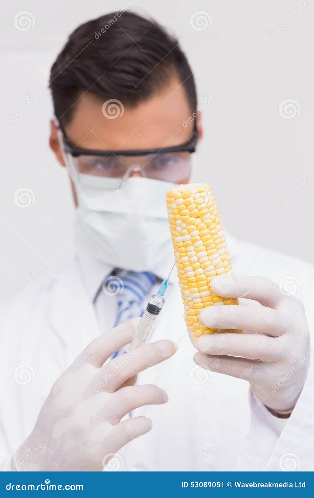 Scientist Injecting a Corn Cob Stock Image - Image of male, injecting ...