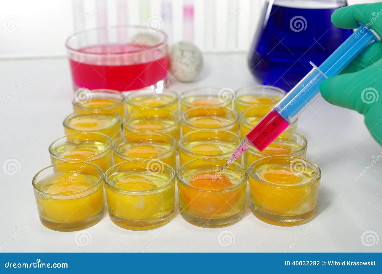 Scientist Injecting Egg Yolks Stock Photo - Image of safety ...