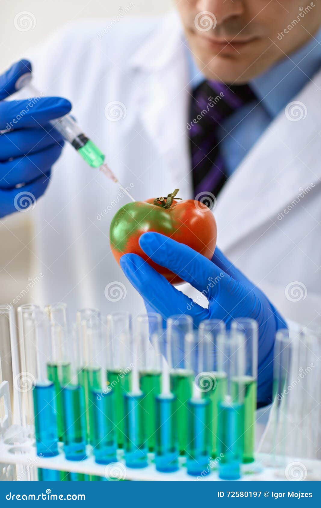Scientist Injecting GMO into a Tomato Stock Image - Image of chemical ...