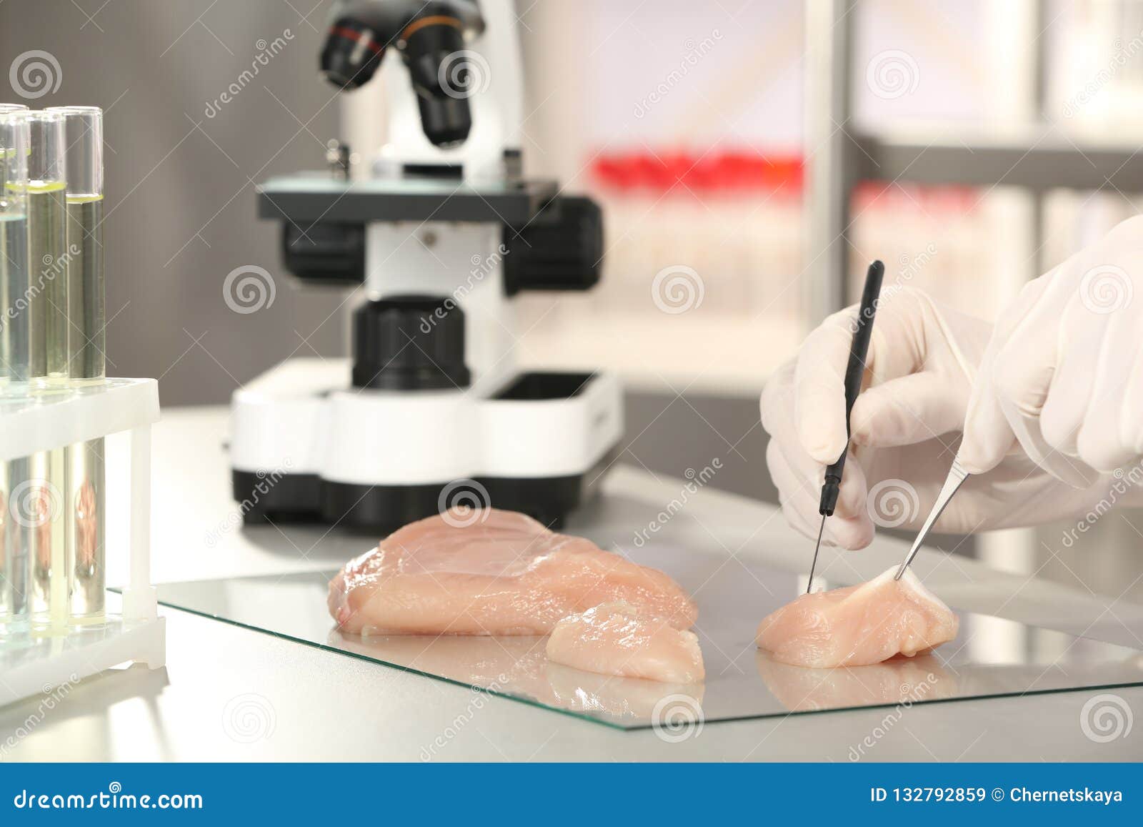 Scientist Inspecting Meat Sample in Laboratory Stock Image - Image of ...
