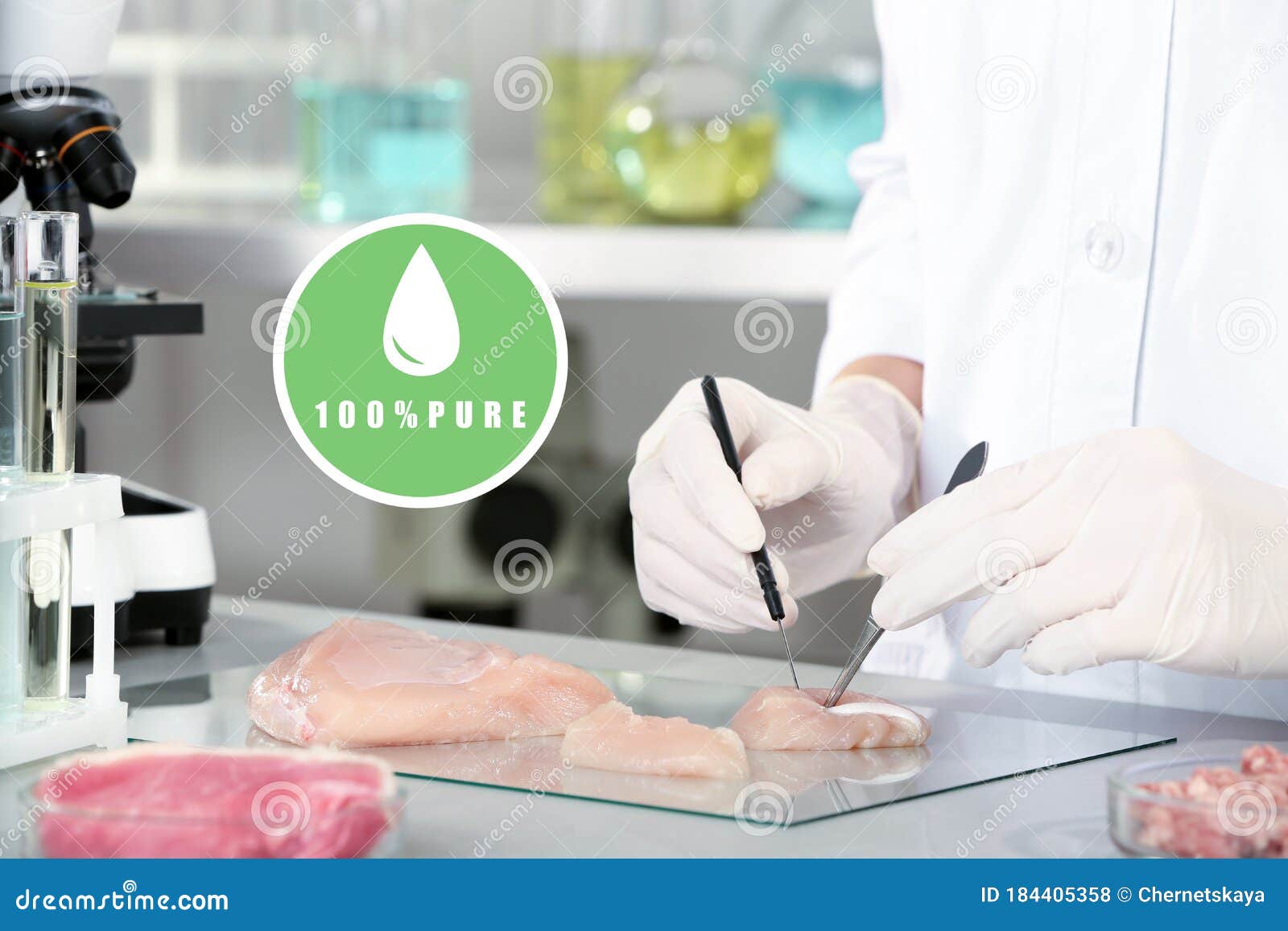 Scientist Inspecting Meat Sample in Laboratory. Food Quality Control ...