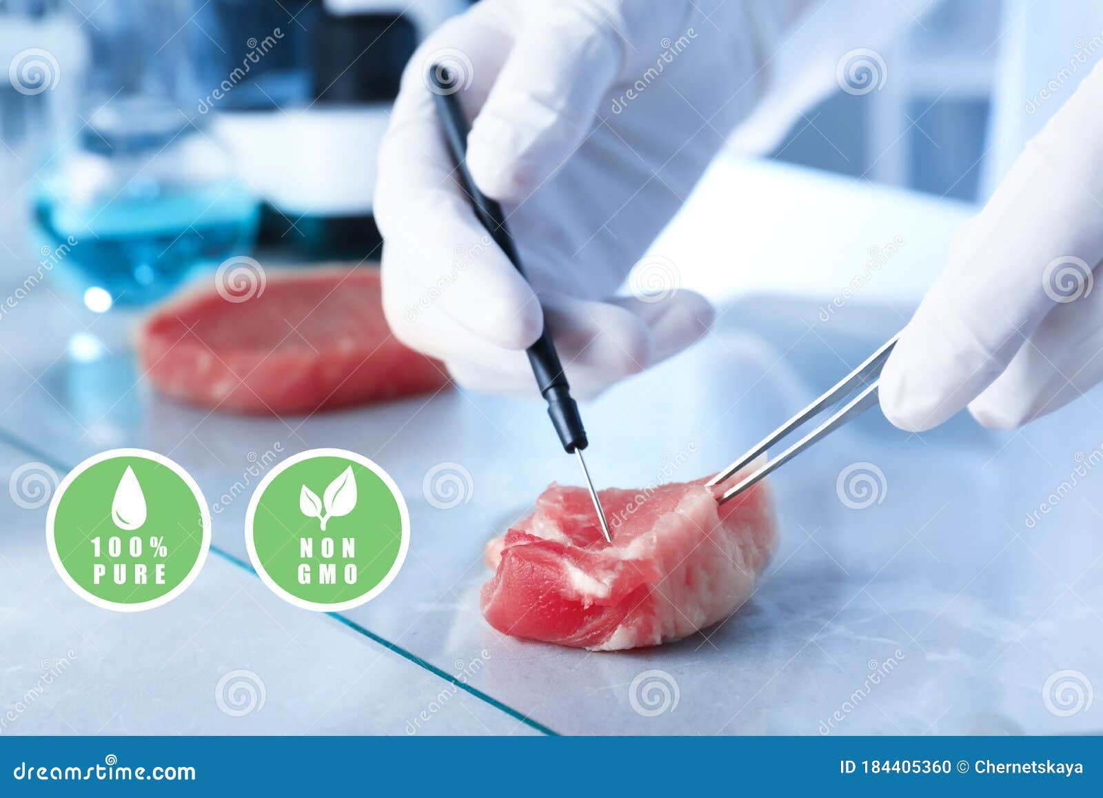Scientist Inspecting Meat Sample in Laboratory. Food Quality Control ...