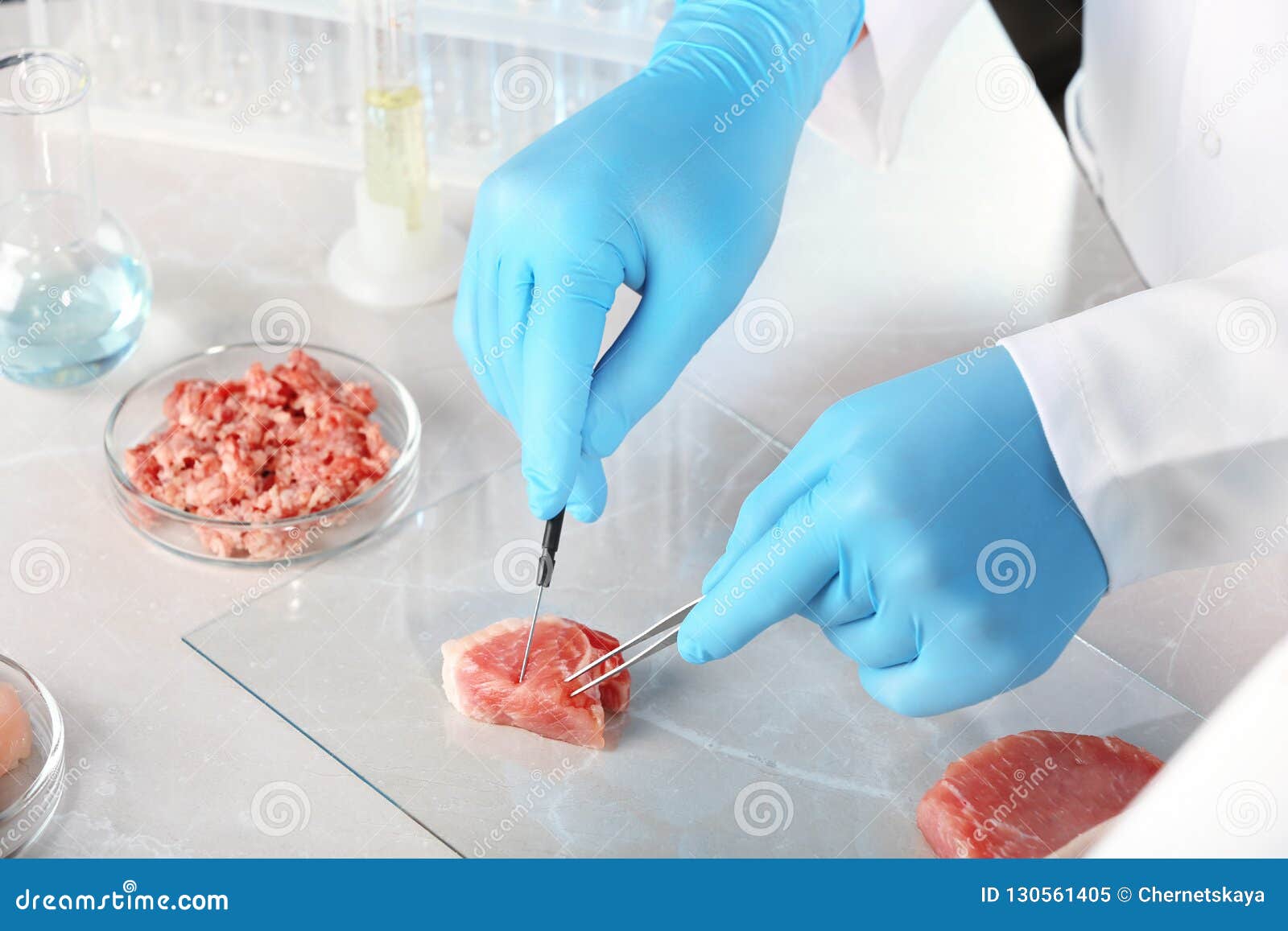 Scientist Inspecting Meat Sample on Table Stock Image - Image of hand ...