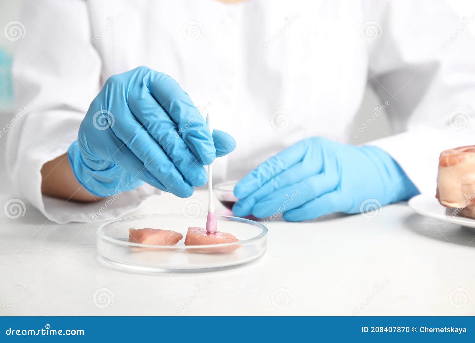 Scientist Inspecting Meat at Table in Laboratory, Closeup. Poison ...