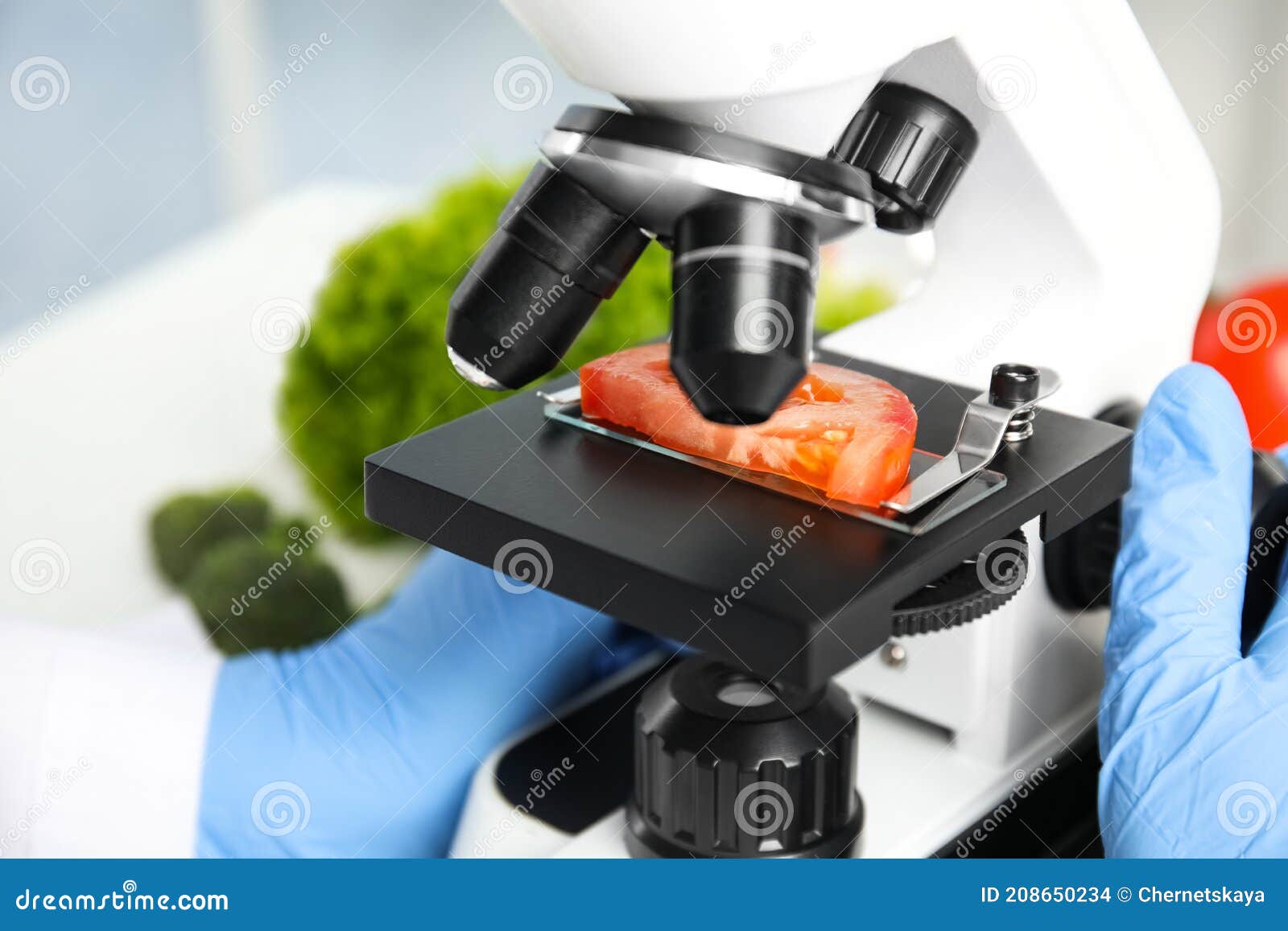 Scientist Inspecting Slice of Tomato with Microscope in Laboratory ...