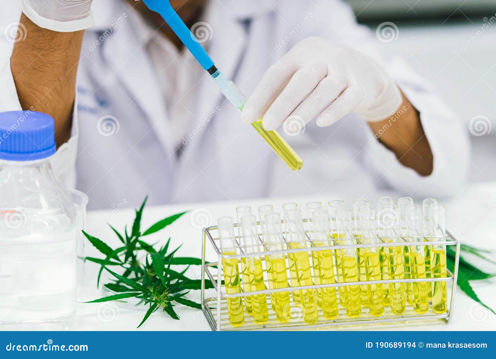 Scientist in Laboratory Testing Cbd Oil Extracted from a Marijuana ...