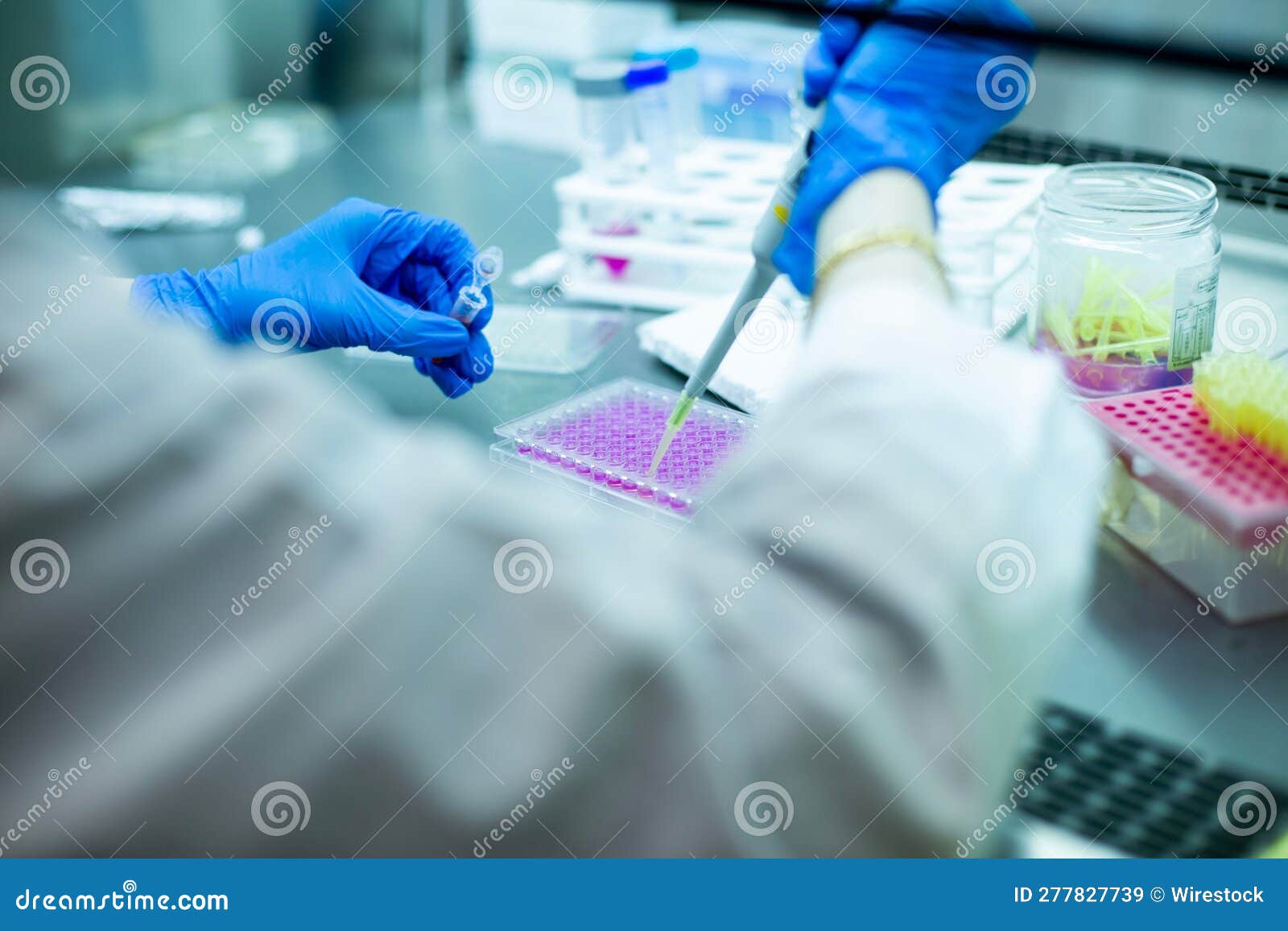 Scientist in the Laboratory Working with a Pipette and Microplate ...