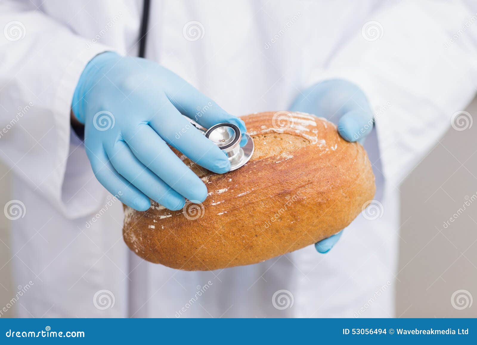 906 Bread Laboratory Stock Photos - Free & Royalty-Free Stock Photos from Dreamstime