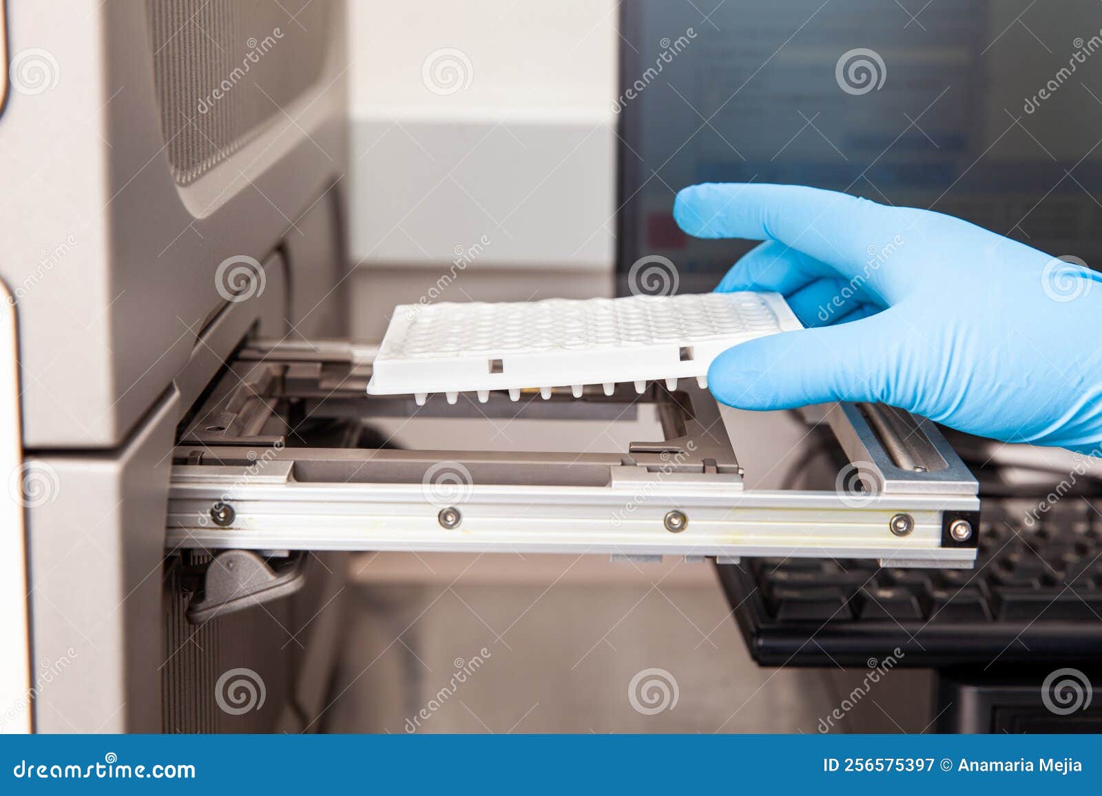 Scientist Loading Samples To a RT-PCR Thermal Cycler at the Laboratory ...