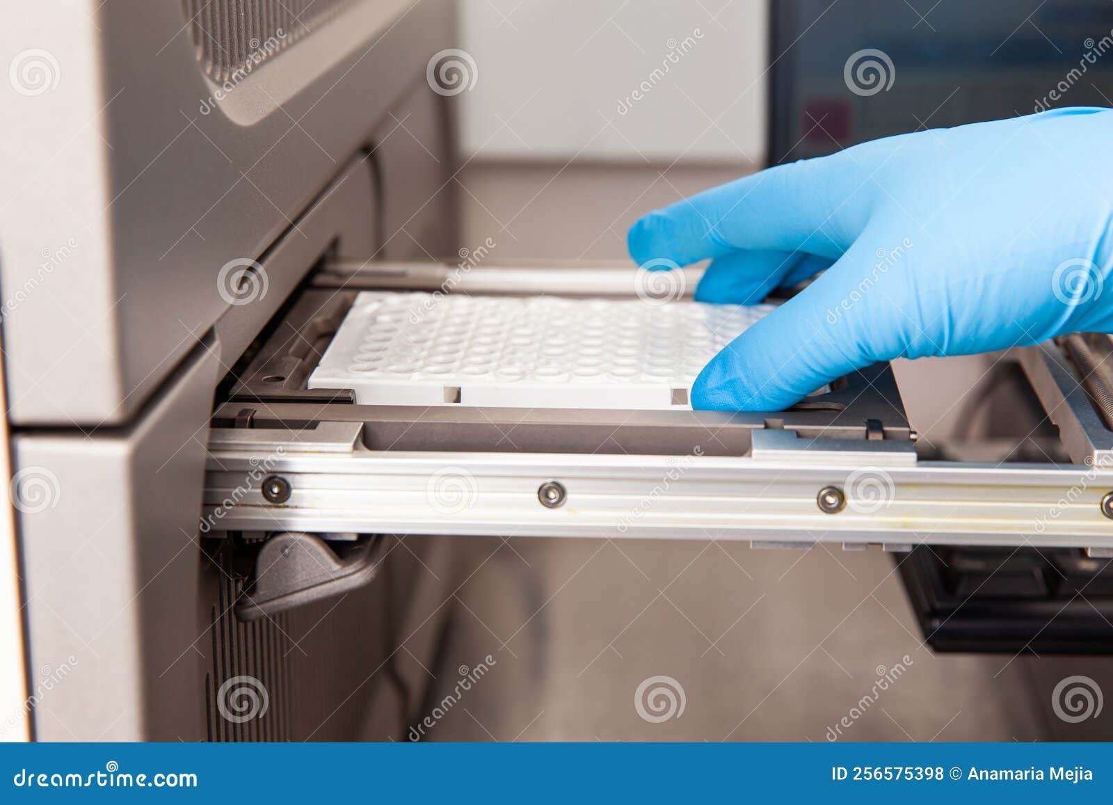 Scientist Loading Samples To a RT-PCR Thermal Cycler at the Laboratory ...