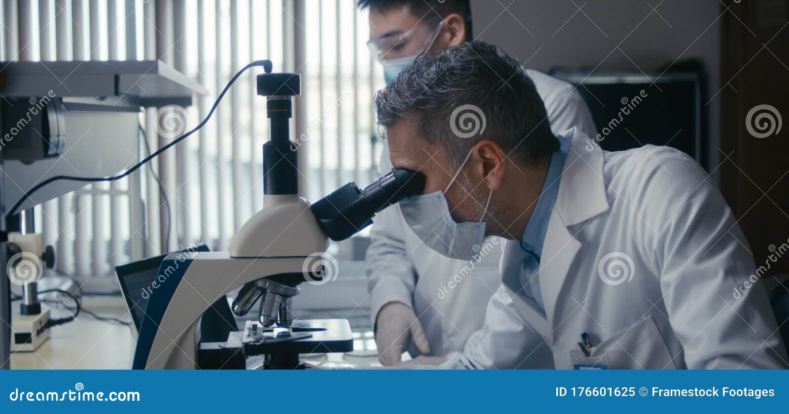 Scientist Looking at Camera in Laboratory Stock Image - Image of ...