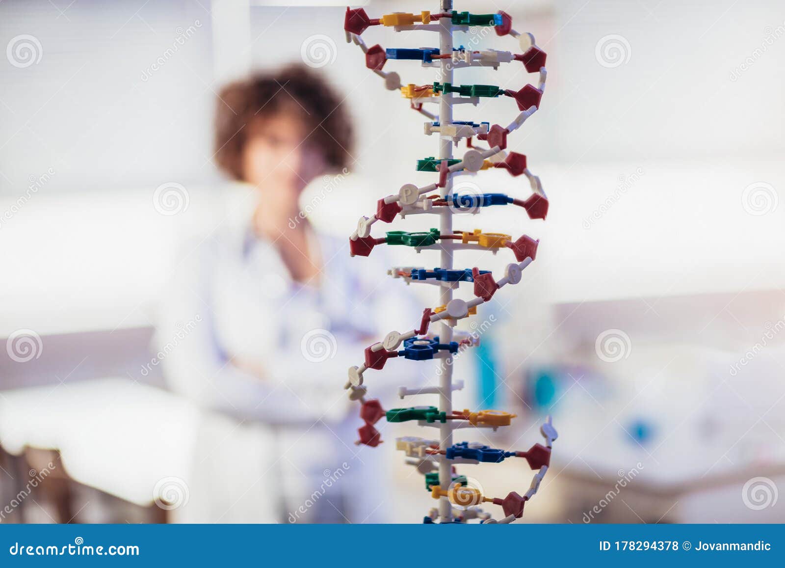 Scientist Looking at DNA in Laboratory Stock Photo - Image of equipment ...