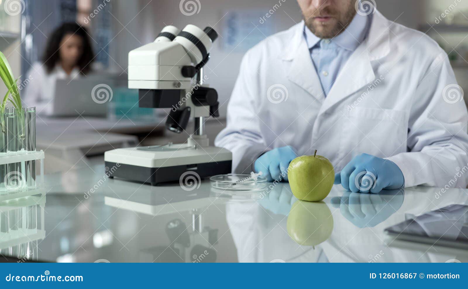 Scientist Looking at Lab Apple Sample, Checking Chemical Reaction, Food ...