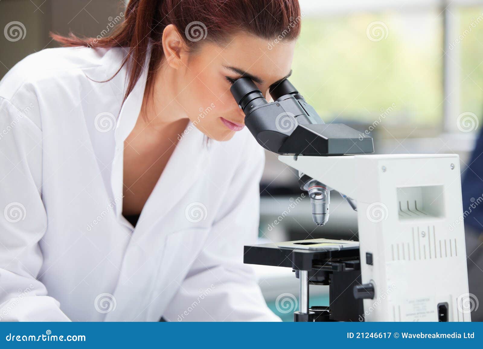 Scientist Looking into a Microscope Stock Image - Image of chemistry ...