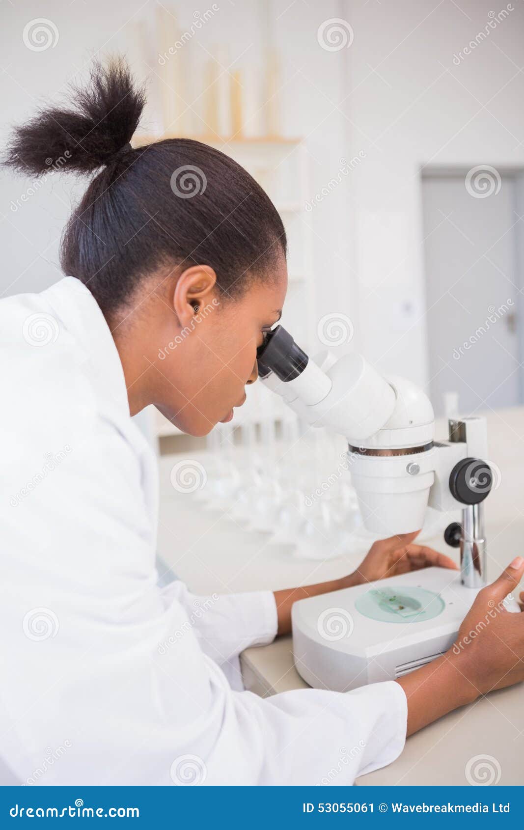 Scientist Looking at Petri Dish with Microscope Stock Image - Image of ...