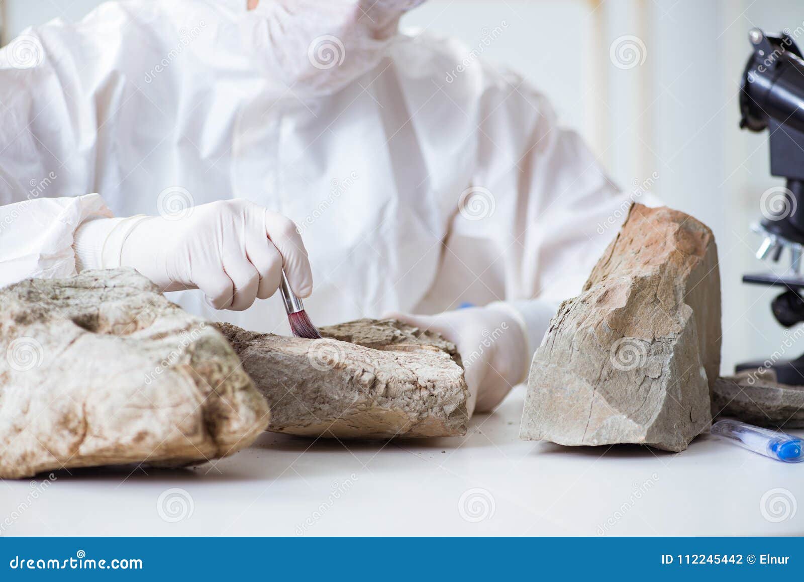 The Scientist Looking and Stone Samples in Lab Stock Photo - Image of ...