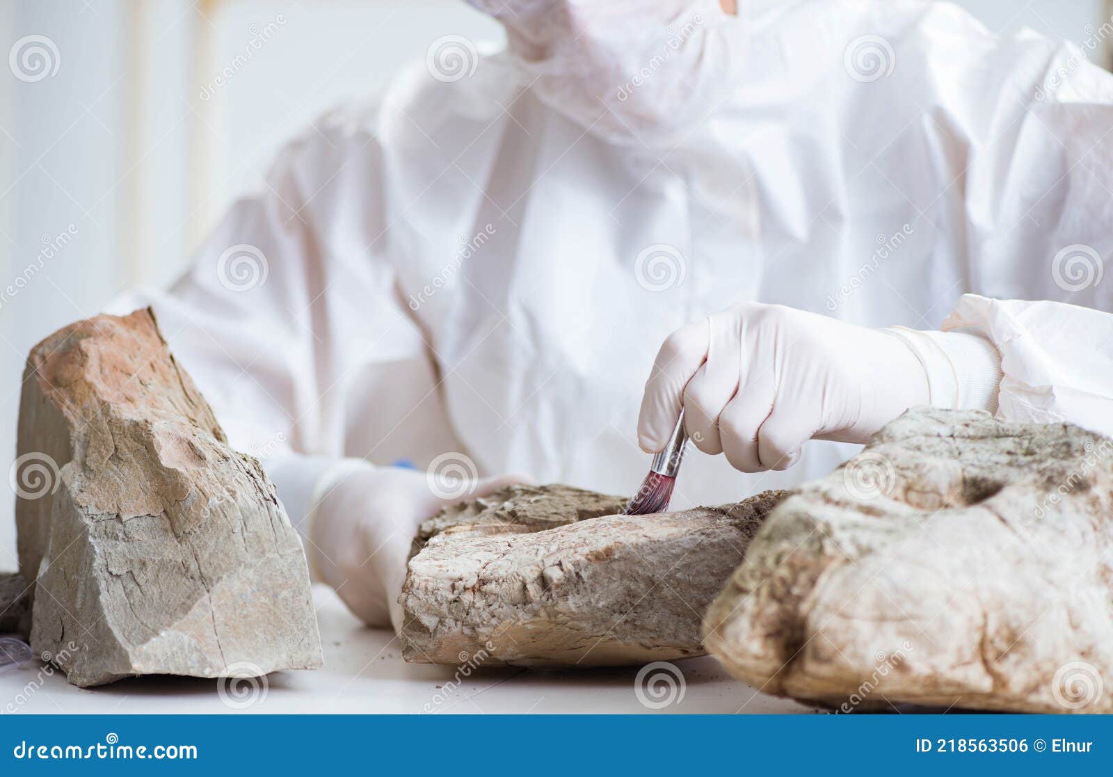 Scientist Looking and Stone Samples in Lab Stock Photo - Image of ...