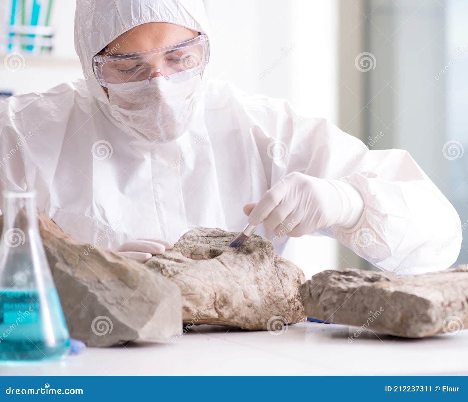 Scientist Looking and Stone Samples in Lab Stock Image - Image of ...