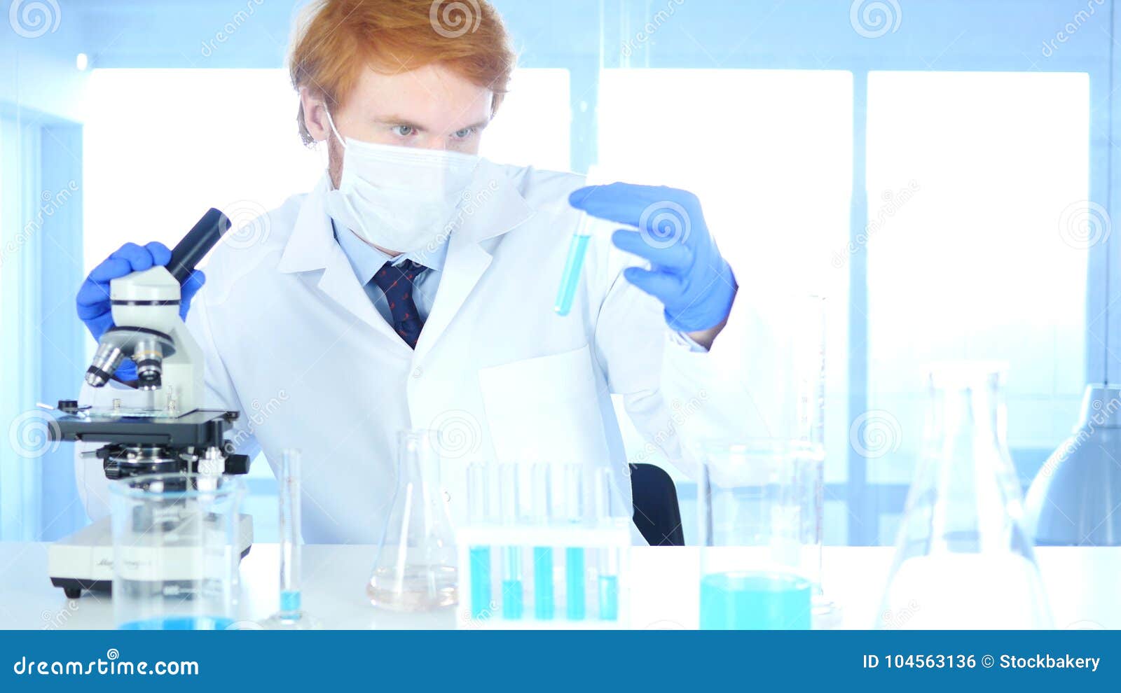 Scientist Looking at Test Tube Blue Solution and Using Microscope in ...