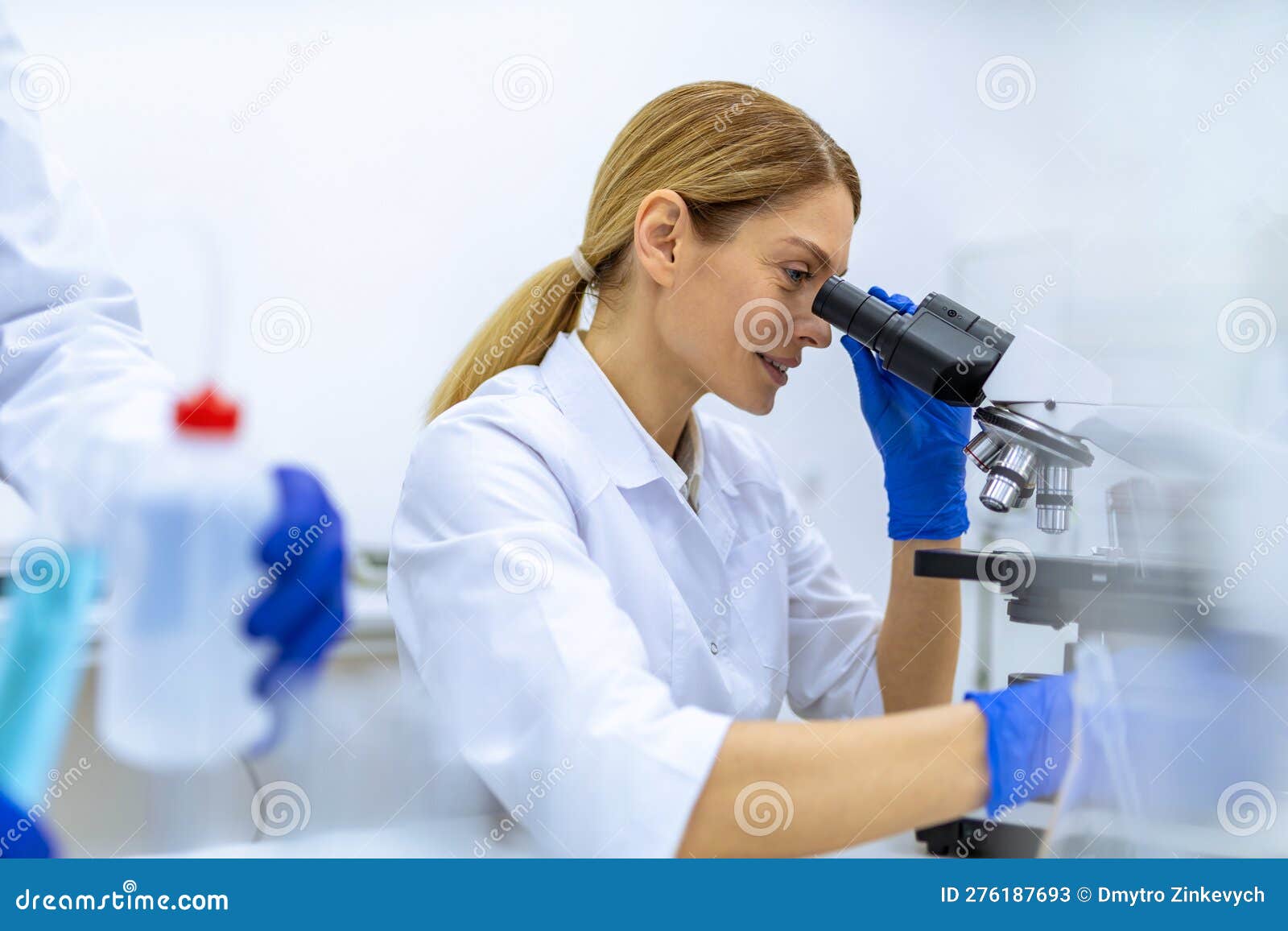 Scientist Looking Under Microscope, Doing Analysis of Test Sample ...